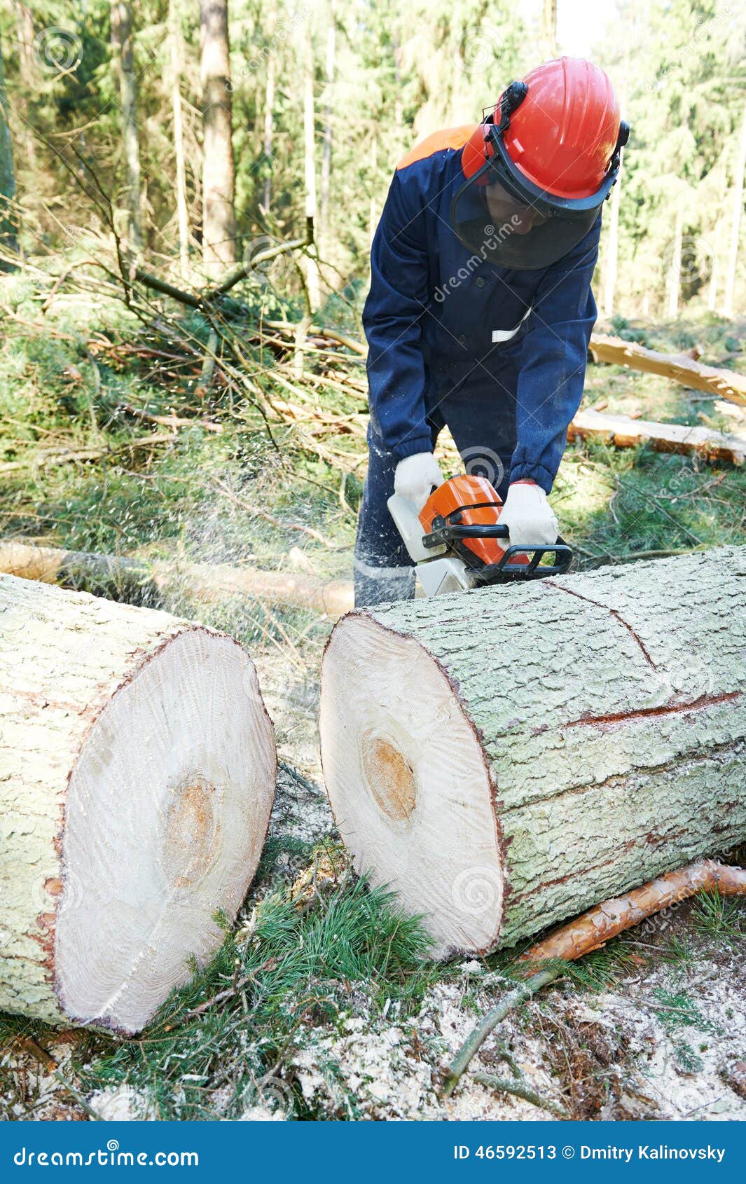Lumberjack Cutting Tree in Forest Stock Image - Image of forest, chain ...