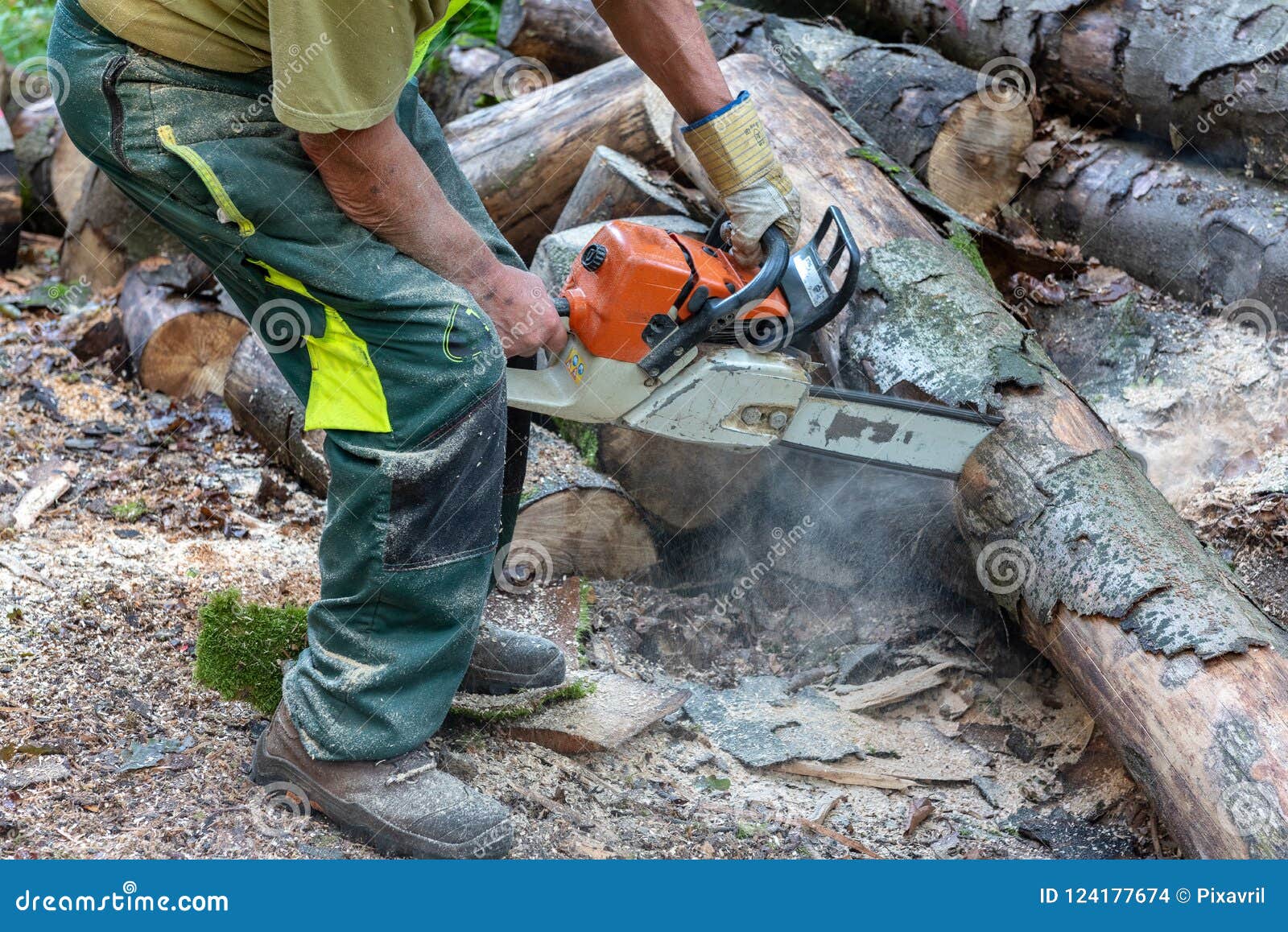 Lumberjack Cutting Trees with a Chainsaw Stock Photo - Image of ...
