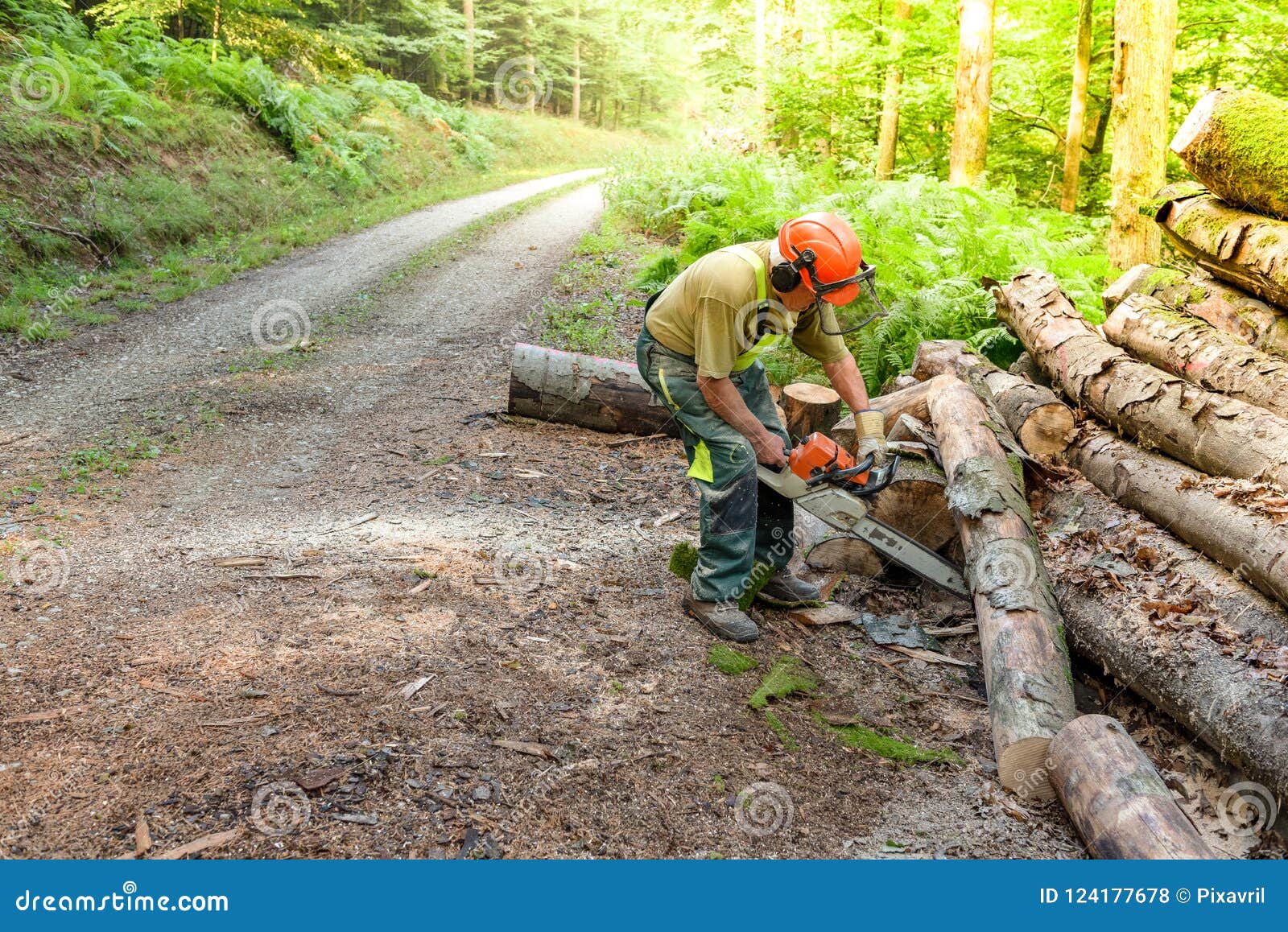 Lumberjack Cutting Trees with a Chainsaw Editorial Stock Photo - Image ...