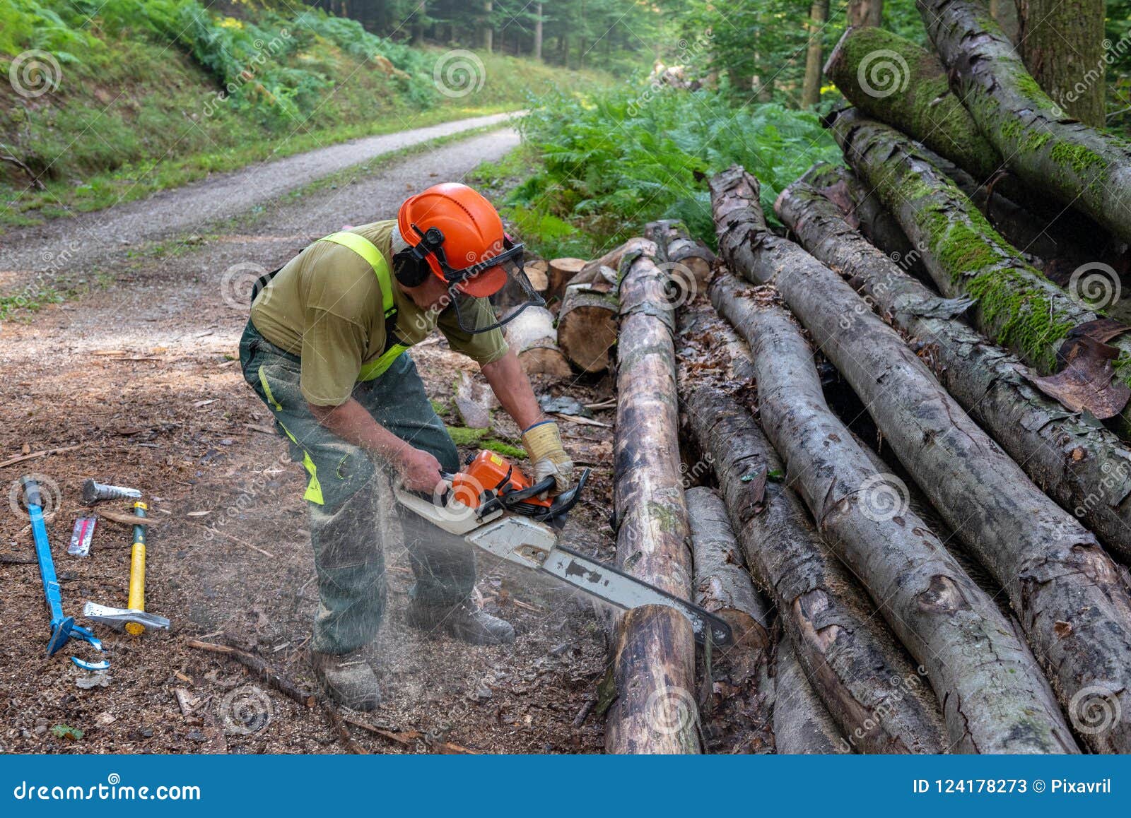 Lumberjack Cutting Trees with a Chainsaw Editorial Stock Photo - Image ...