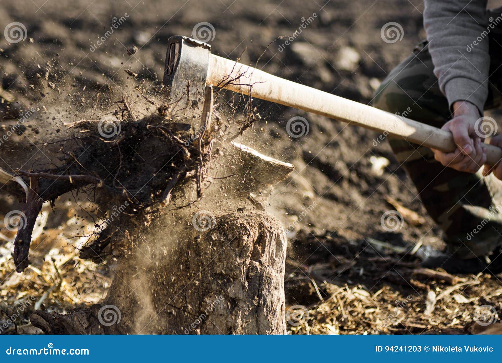 Lumberjack cutting wood stock image. Image of wood, worker - 94241203