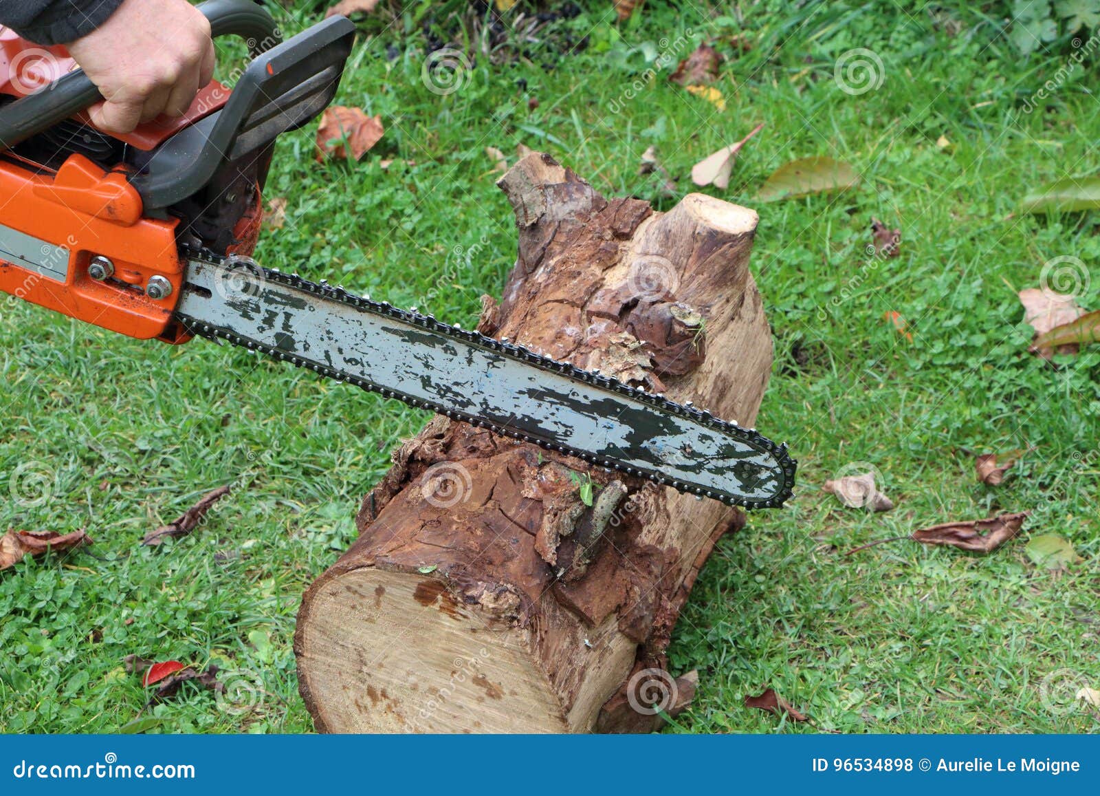 Lumberjack Cutting Wood with a Chain Saw Stock Photo - Image of hand ...