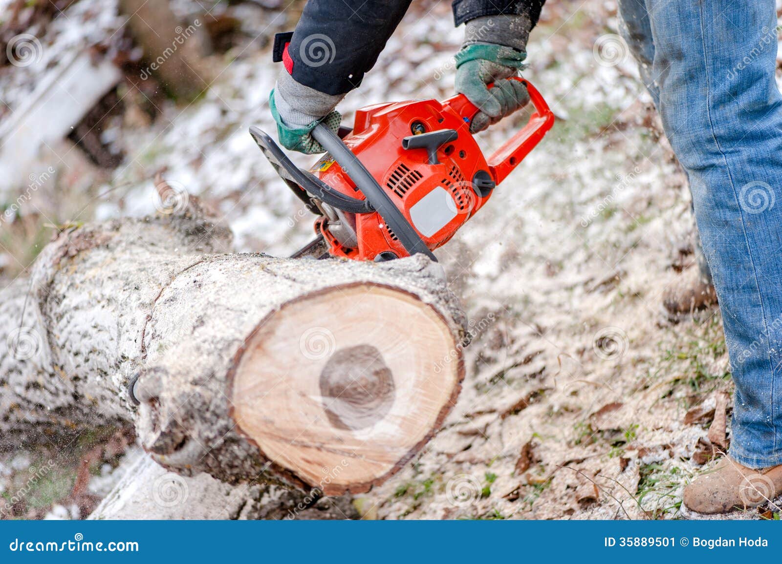 Lumberjack Cutting Wood with Chainsaw Stock Image - Image of protective ...
