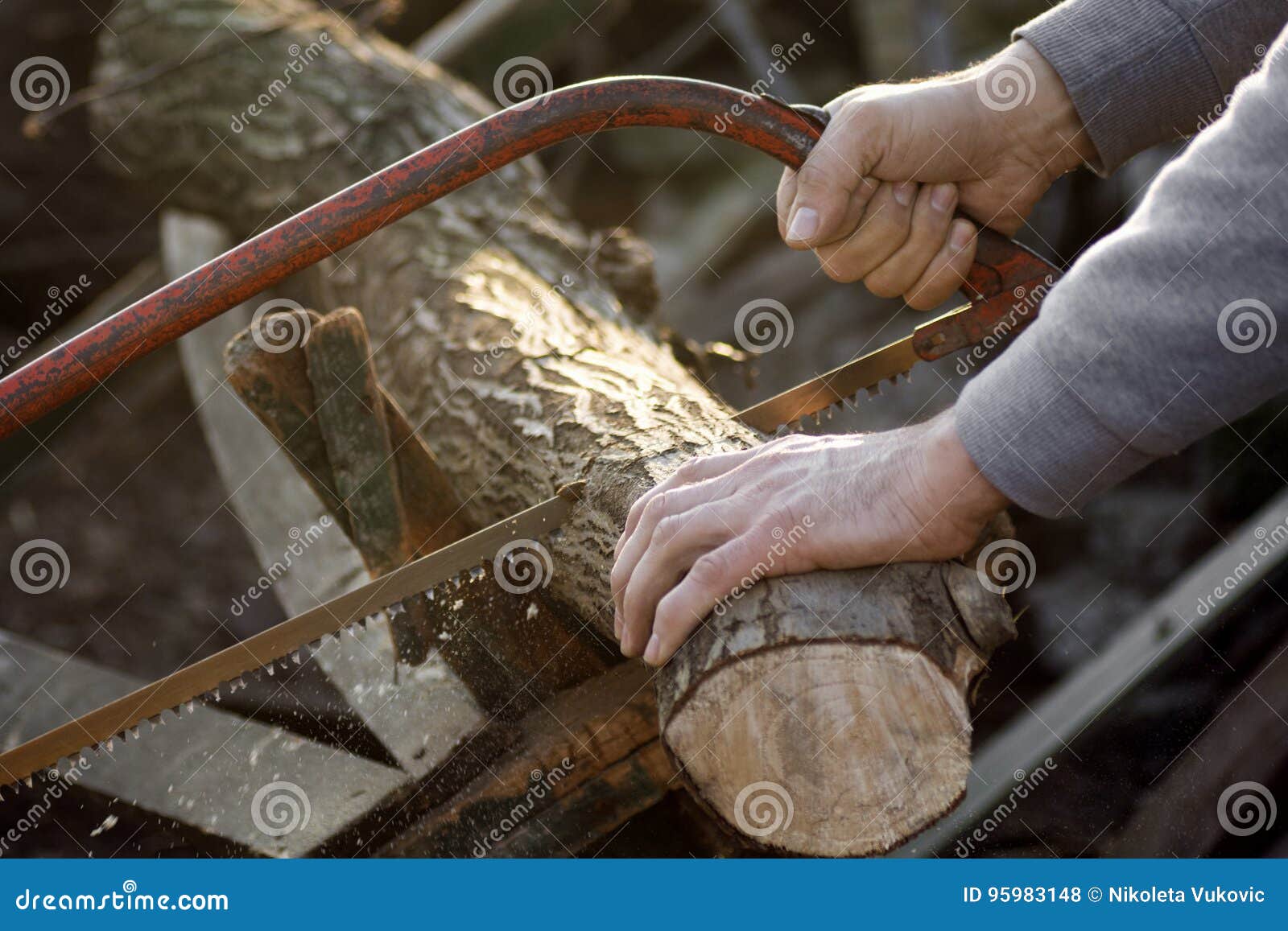 Lumberjack cutting wood stock photo. Image of worker - 95983148