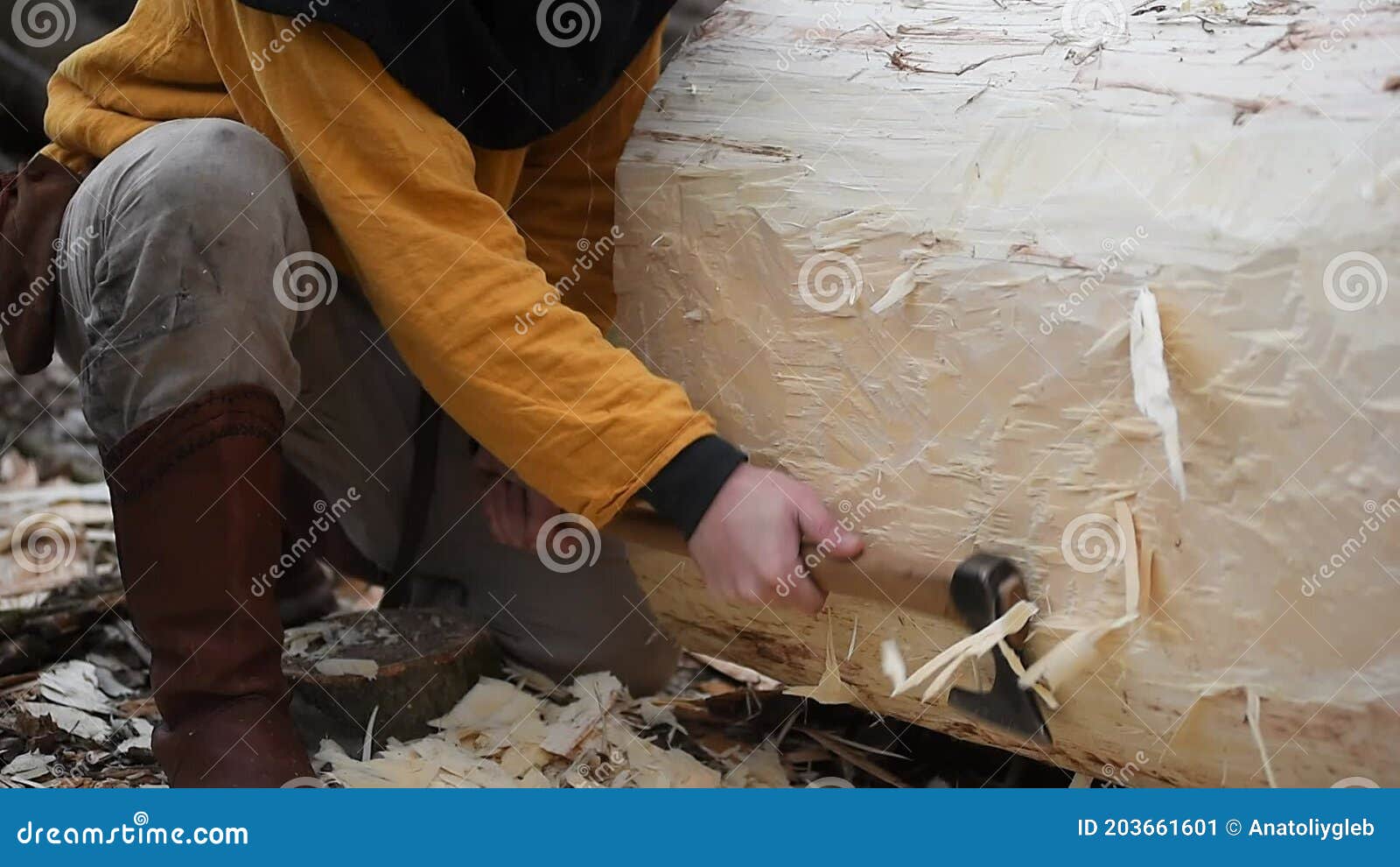 Lumberjack Debarking the Bark of a Tree in the Mountains with Manual ...