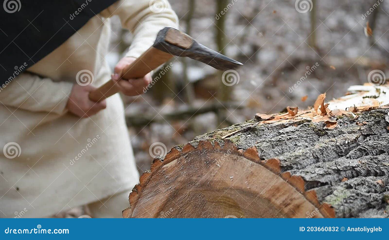 Lumberjack Debarking the Bark of a Tree in the Winter Mountains. Stock ...