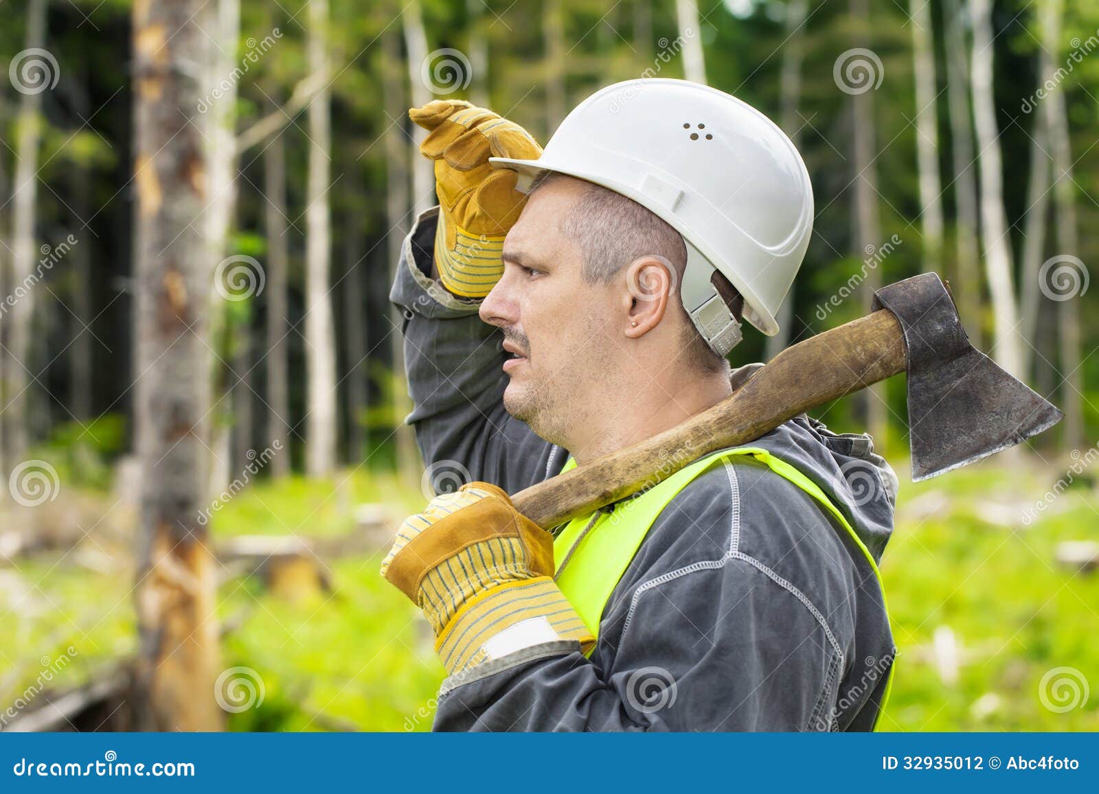 Lumberjack in the forest stock photo. Image of fire, lumber - 32935012