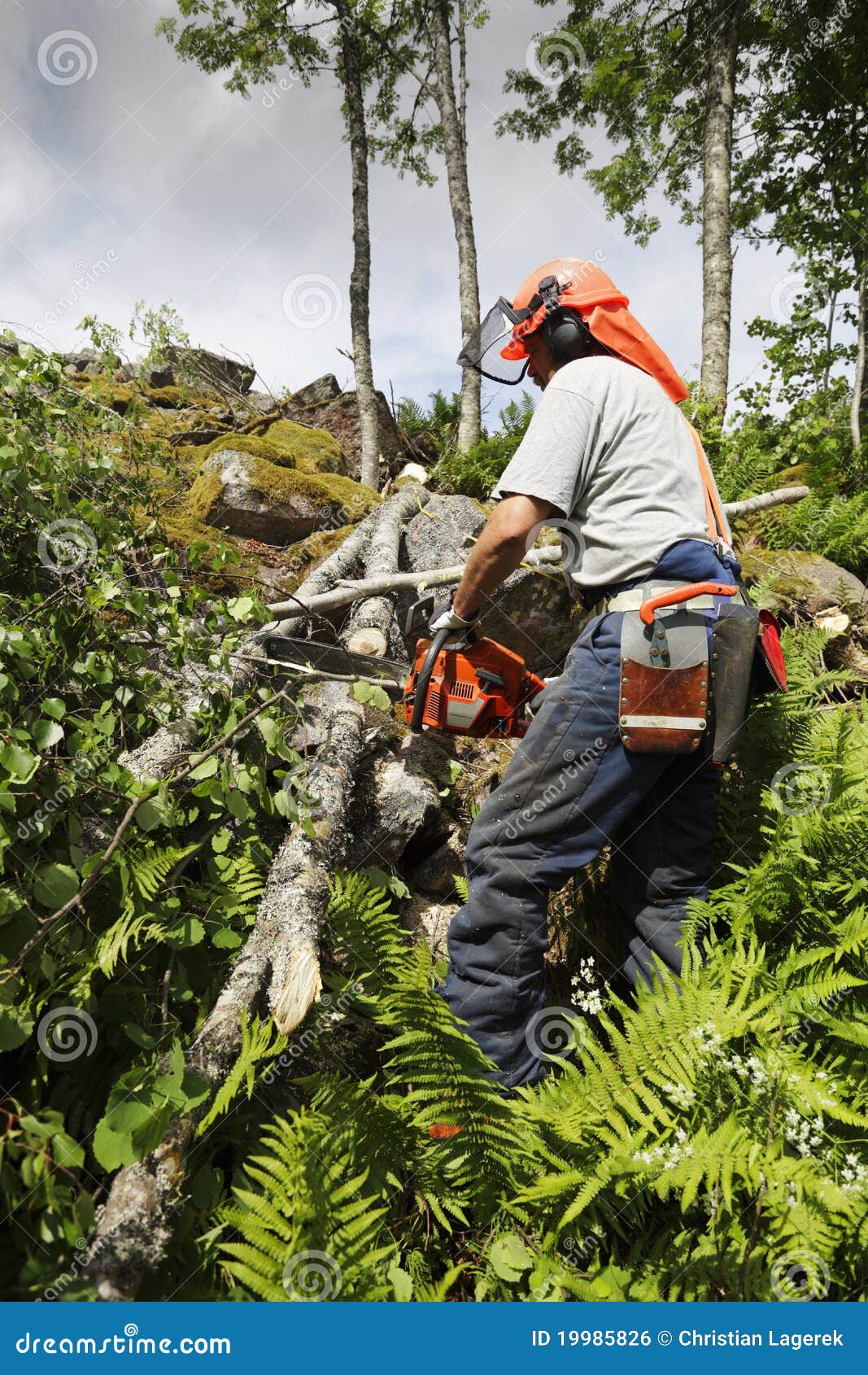 Lumberjack and Forest Works Stock Photo - Image of forestry, forest ...