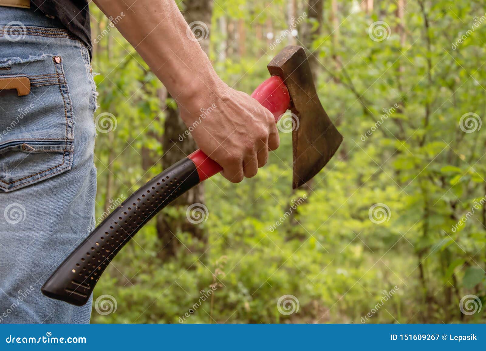 Lumberjack Holding an Ax, Illegal Logging, Environmental Problem Stock ...