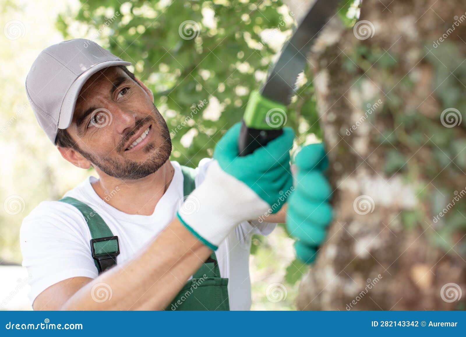Lumberjack Logger Worker Cutting Tree Stock Photo - Image of gasoline ...