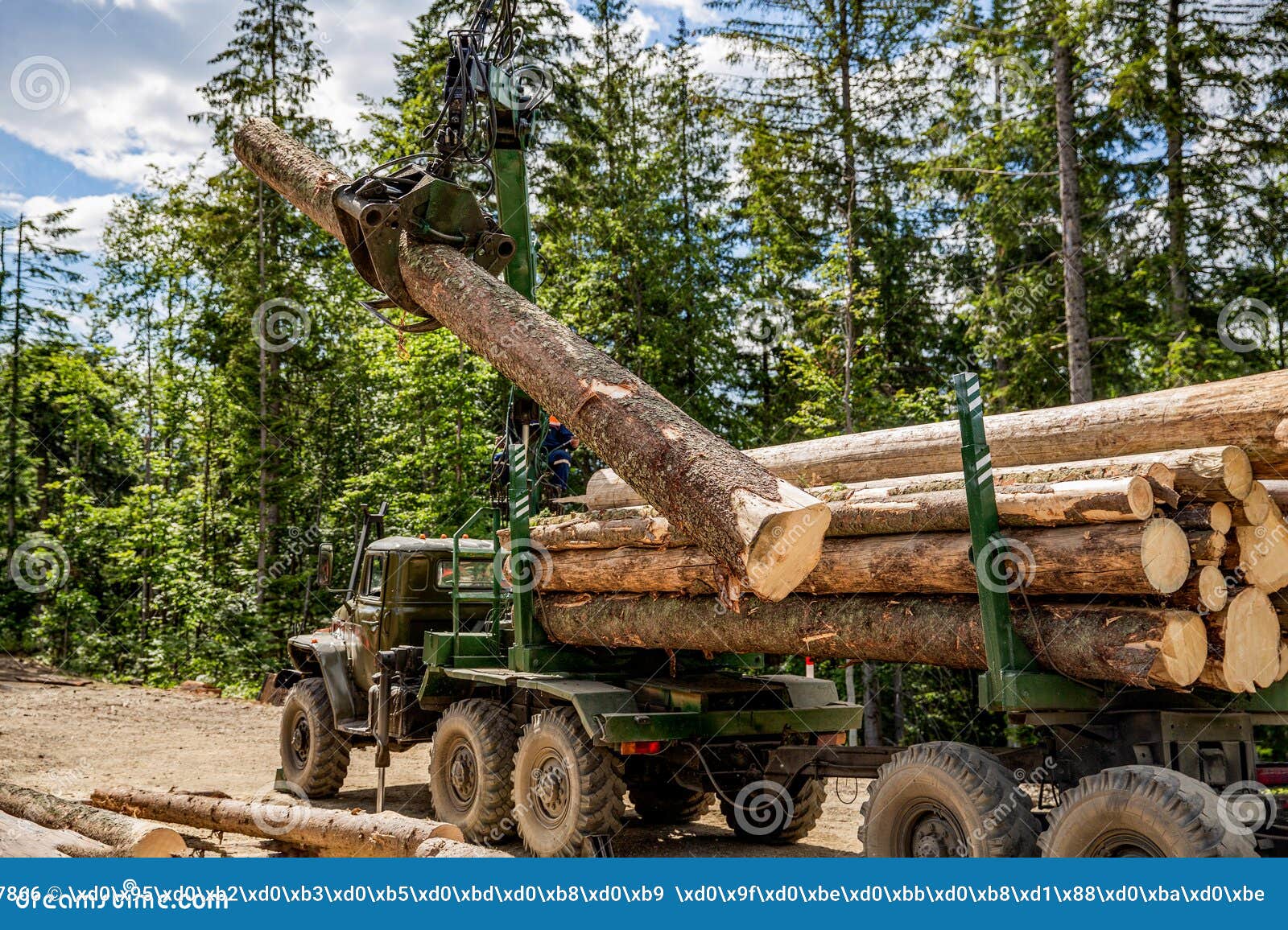 Lumberjack with Modern Harvester Working in a Forest. Wheel-mounted ...