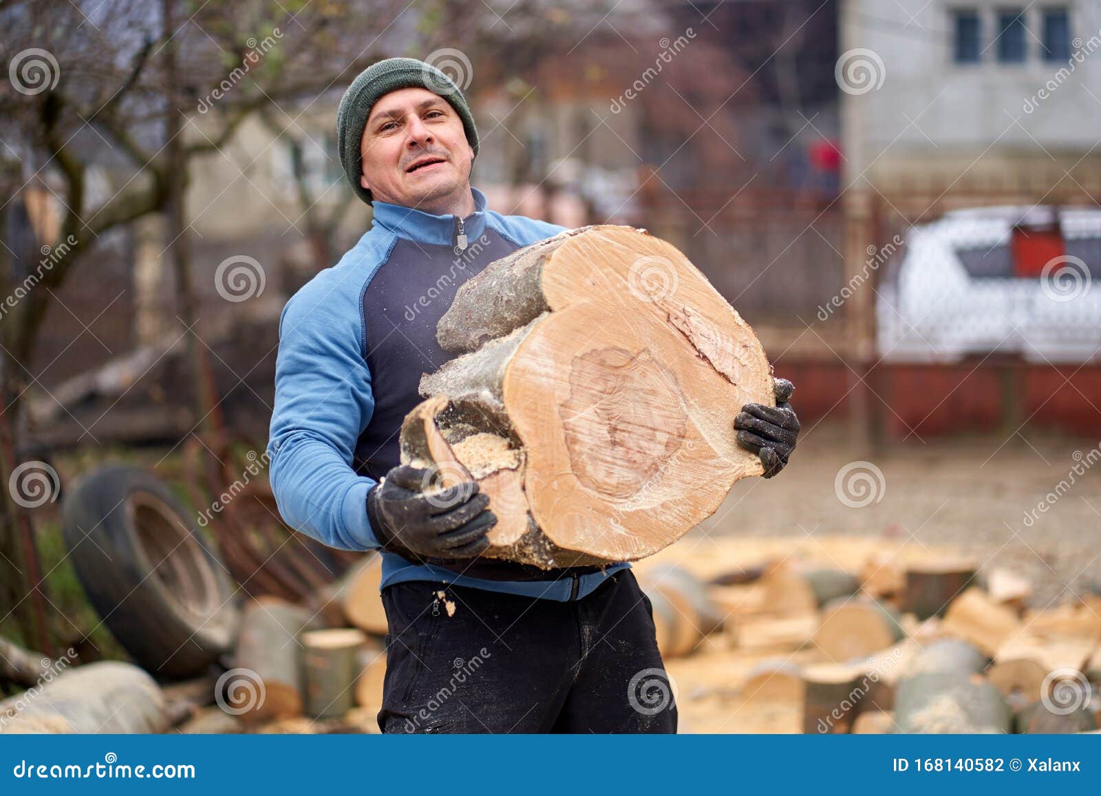 Lumberjack Moving Beech Logs Stock Photo - Image of industrial, cutting ...