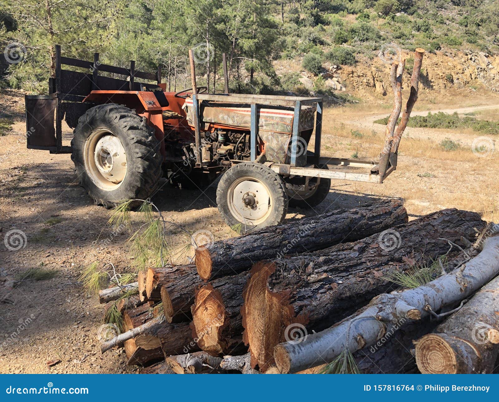 Lumberjack`s Tractor and Piled Logs in the Highland Woods Stock Photo ...