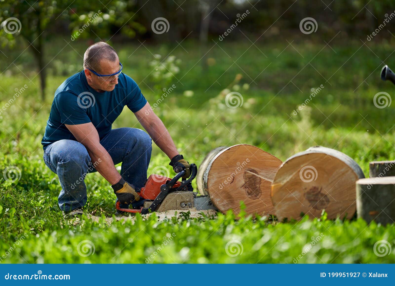 Lumberjack Sawing Beech Logs Stock Image - Image of people, beech ...
