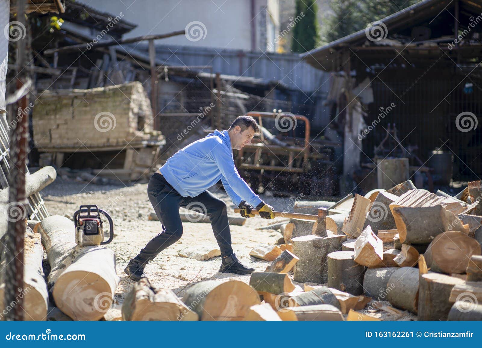 Lumberjack Carrying a Big Beech Log To Split Stock Image - Image of ...