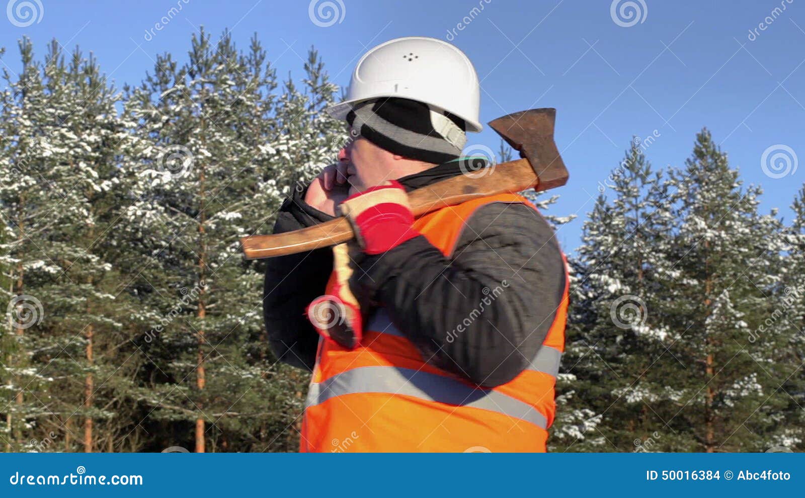 Lumberjack Talking on Cell Phone in Forest Stock Footage - Video of ...