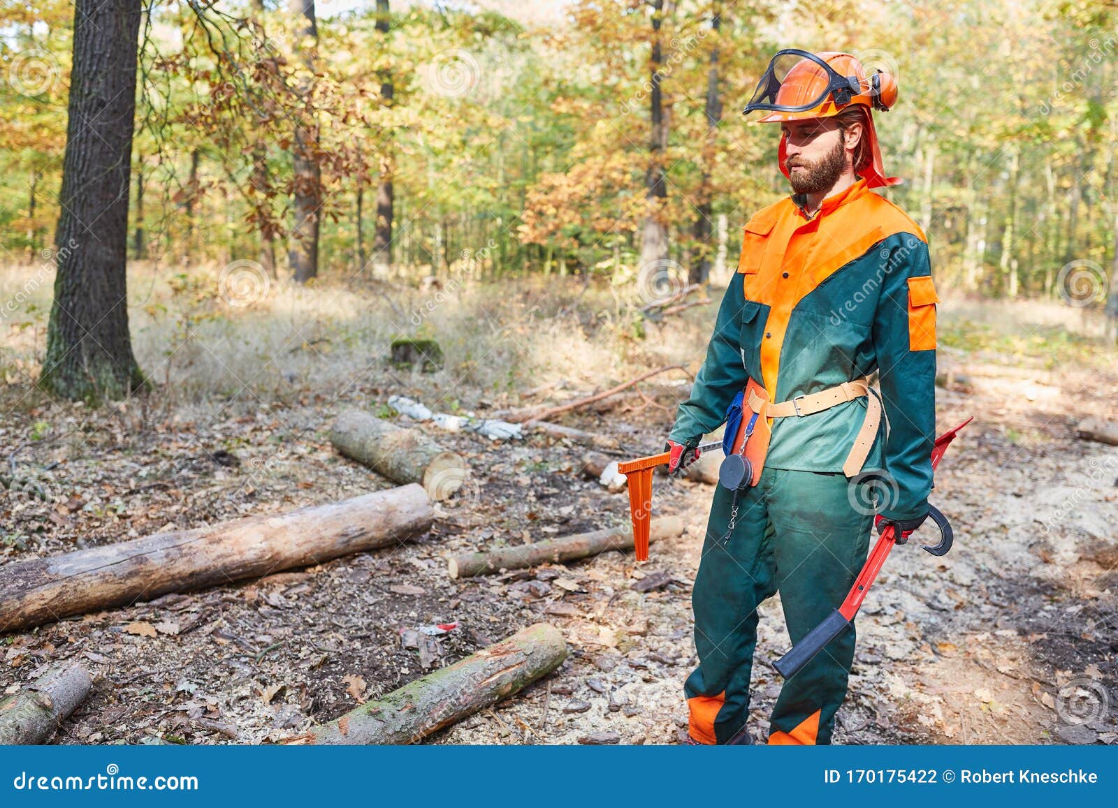 Lumberjack with Tools and in Protective Gear Stock Photo - Image of ...