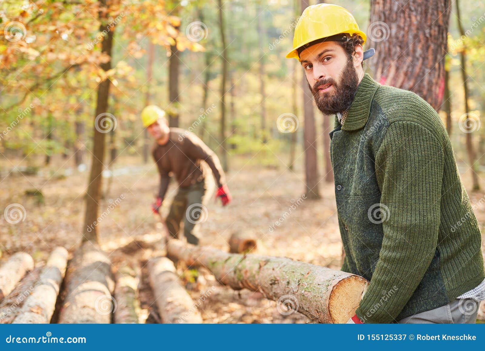 Lumberjack Transporting Lumber in the Forest Stock Image - Image of ...
