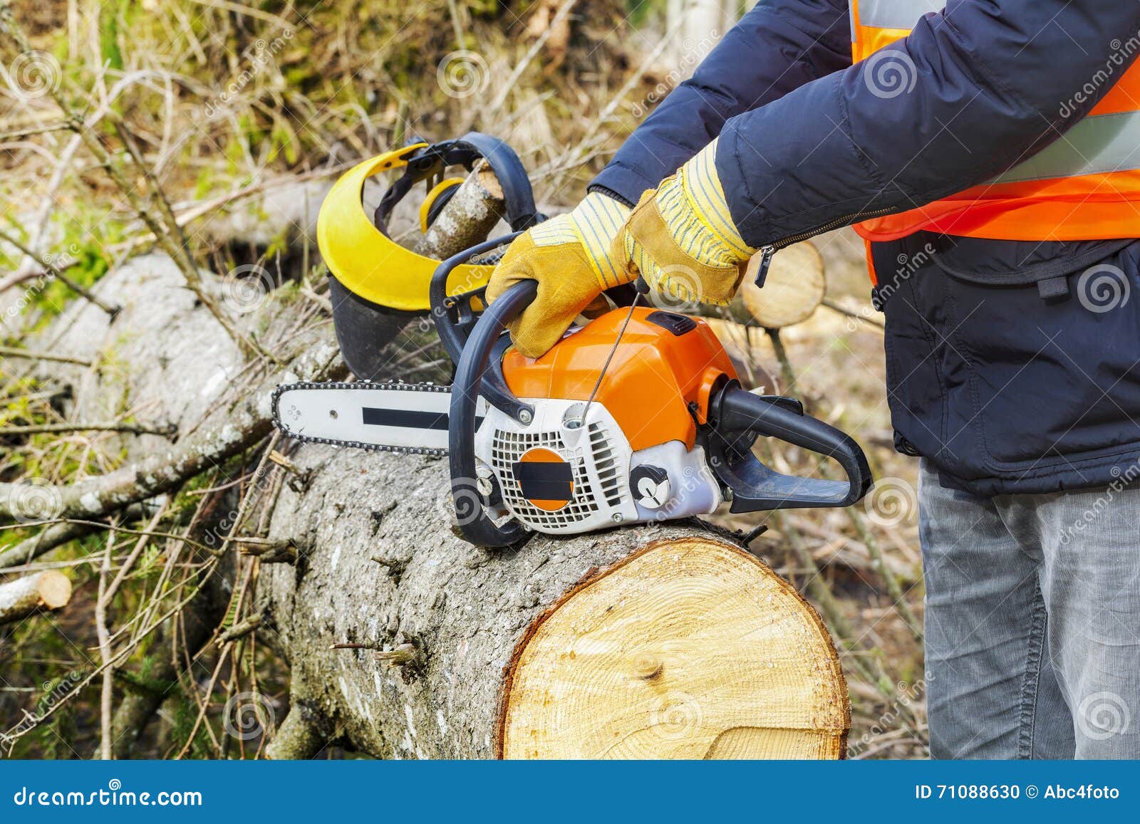 Chainsaw Inspection Stock Photos - Free & Royalty-Free Stock Photos ...