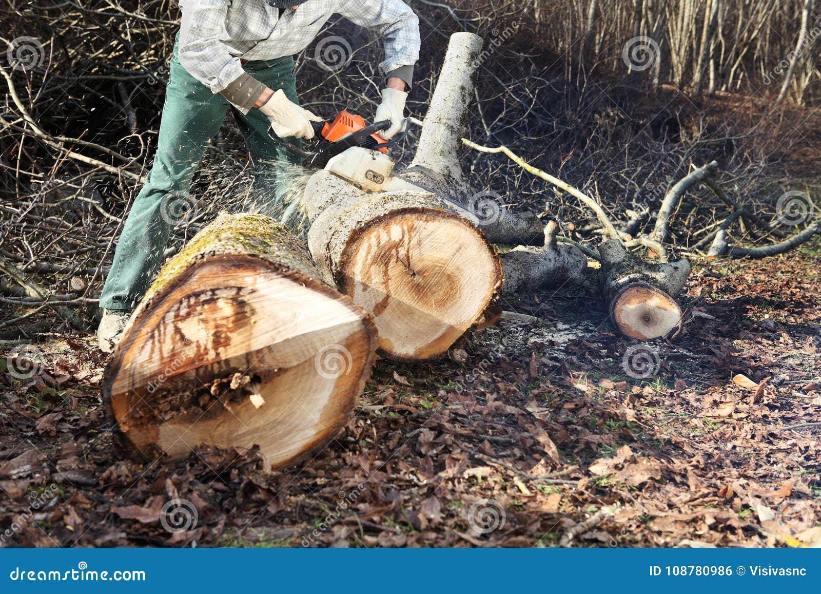 A Man Using A Chainsaw Cuts Trees Into Small Firewood In A Garden, Park ...