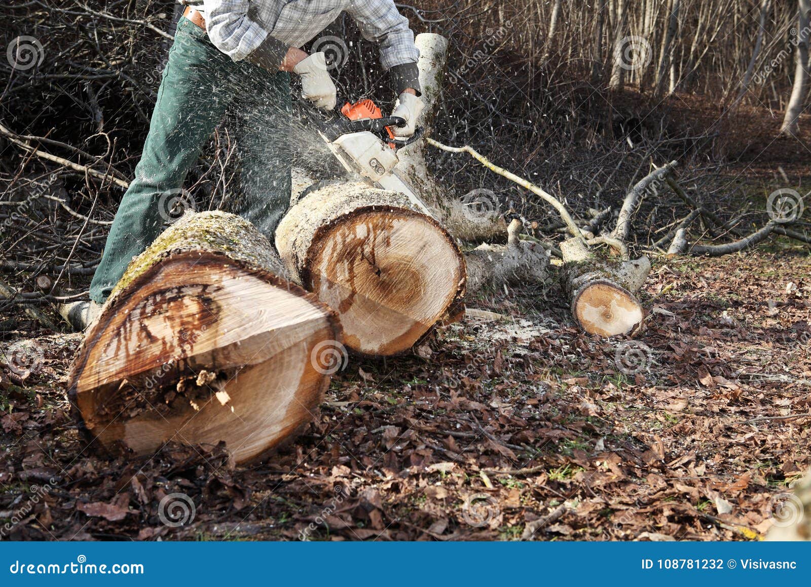 Lumberjack Using Chainsaw Cutting Big Tree Stock Photography ...