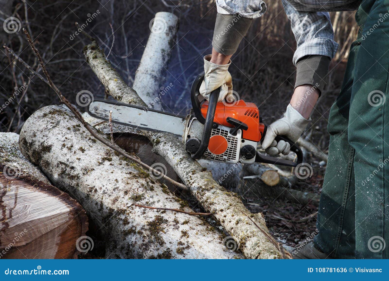 Lumberjack Using Chainsaw Cutting Big Tree Stock Photography ...