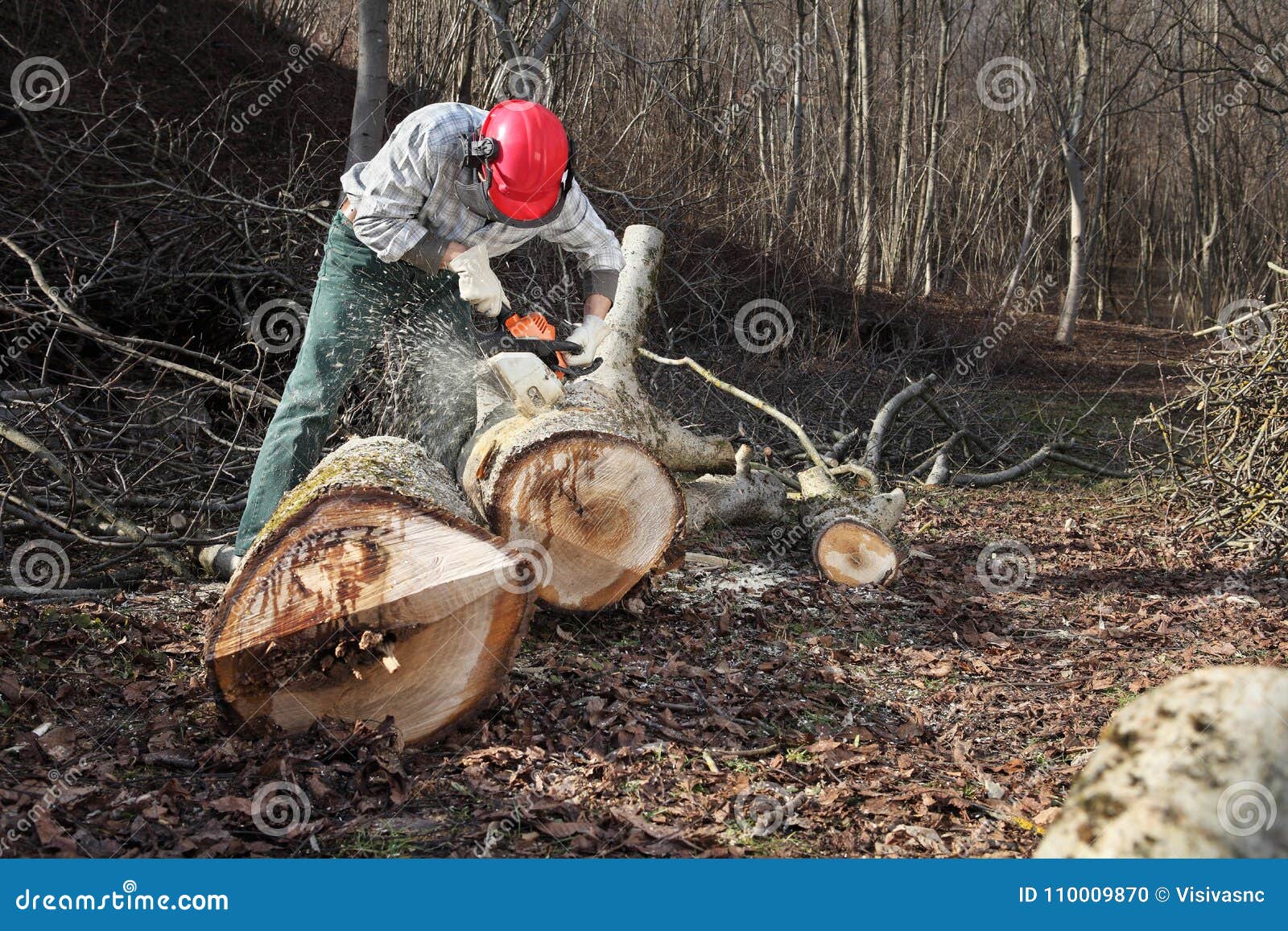 Lumberjack Using Chainsaw Cutting Big Tree During The Autumn Wearing ...