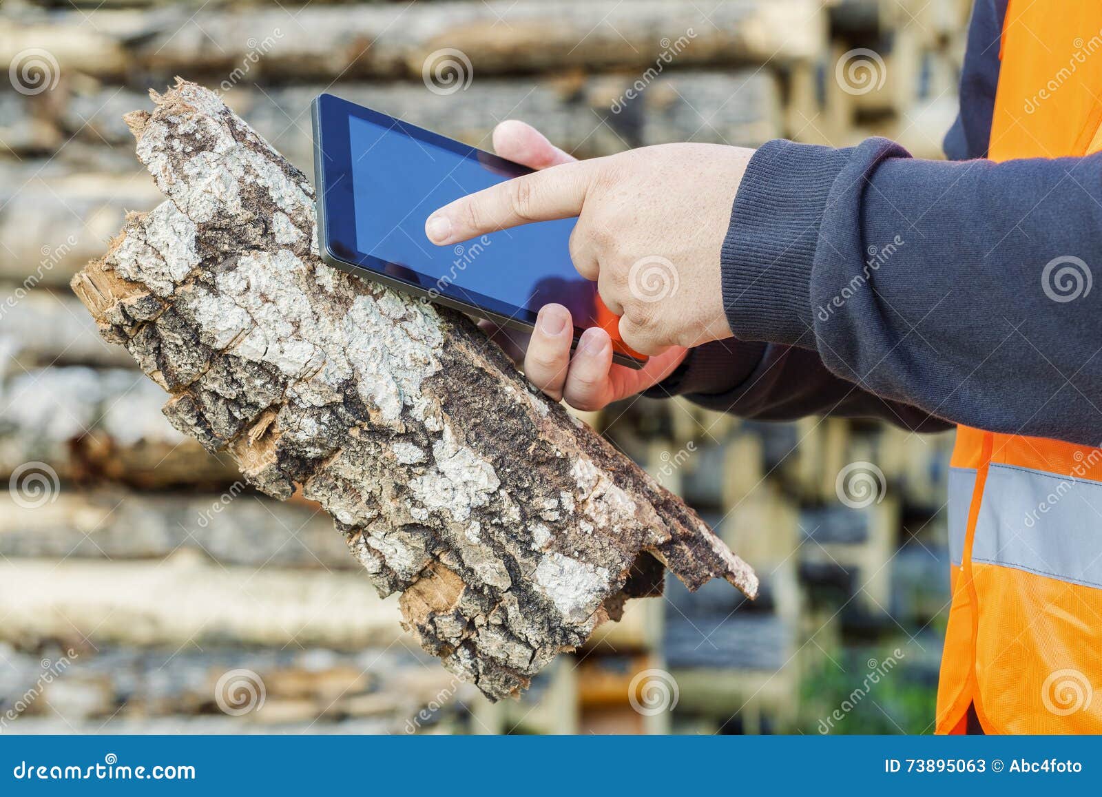 Lumberjack Using Tablet PC in the Woods Stock Image - Image of tree ...