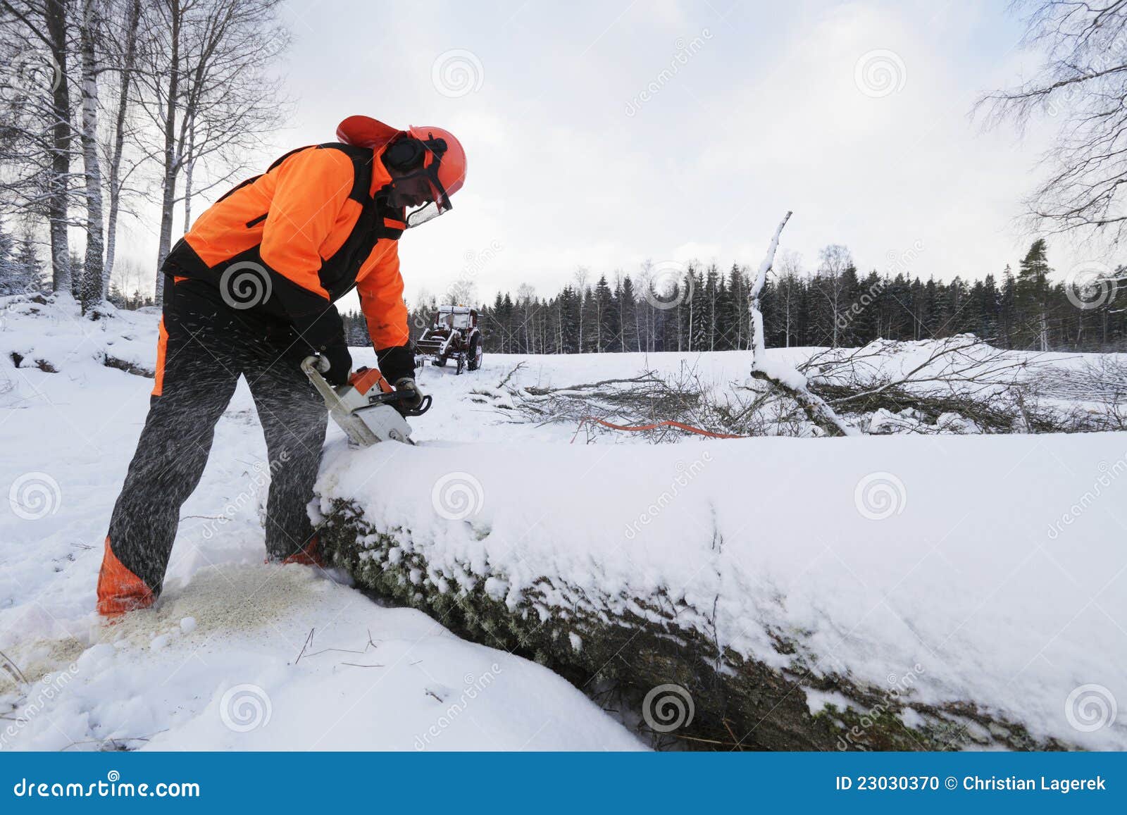 Lumberjack, Winter and Snow Stock Photo - Image of landscape ...