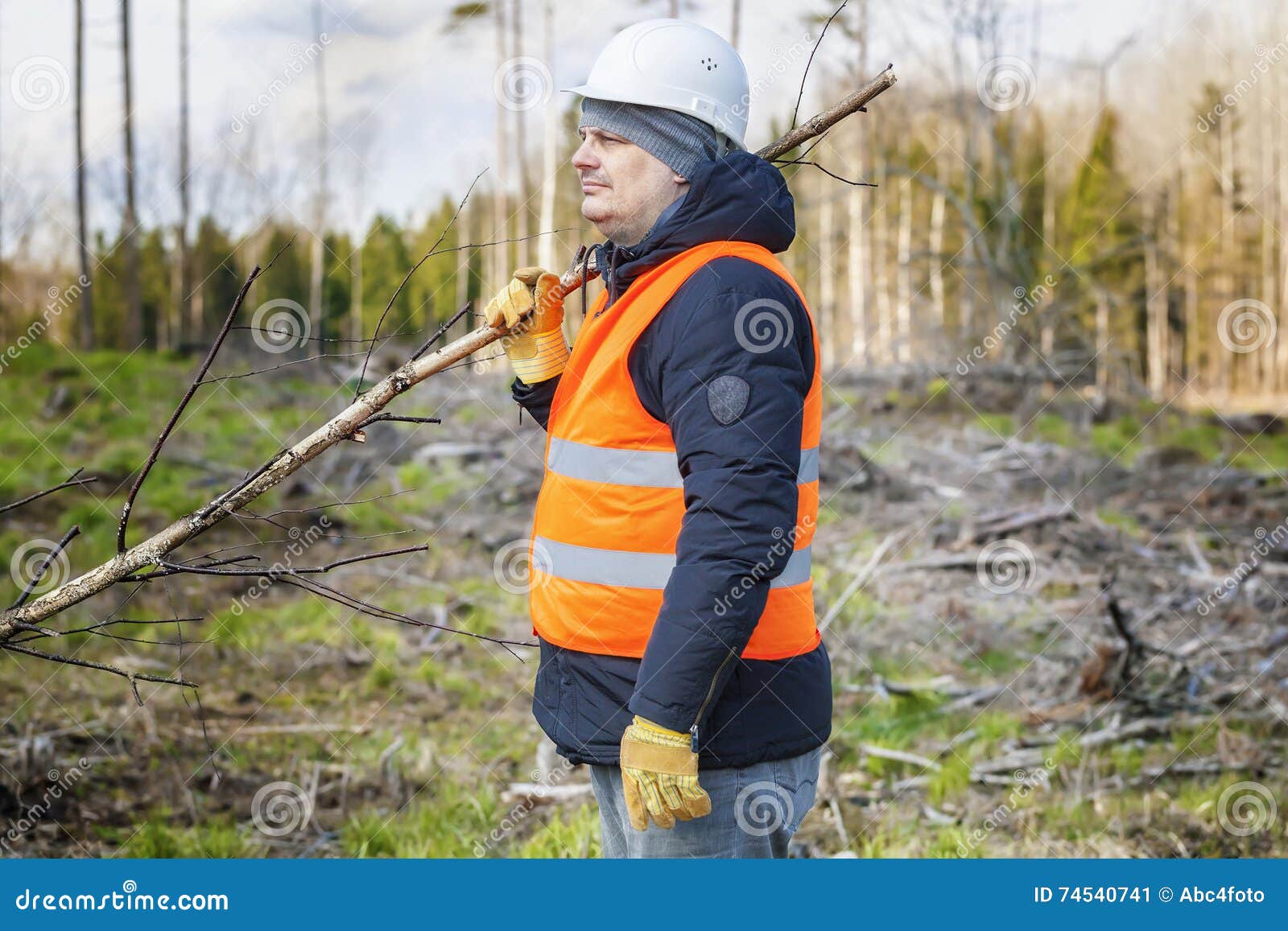 Lumberjack in the woods stock image. Image of safety - 74540741
