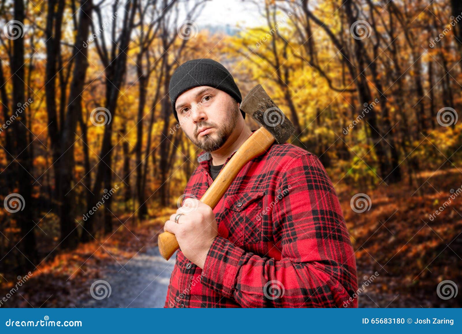 Lumberjack Stock Image | CartoonDealer.com #88629115