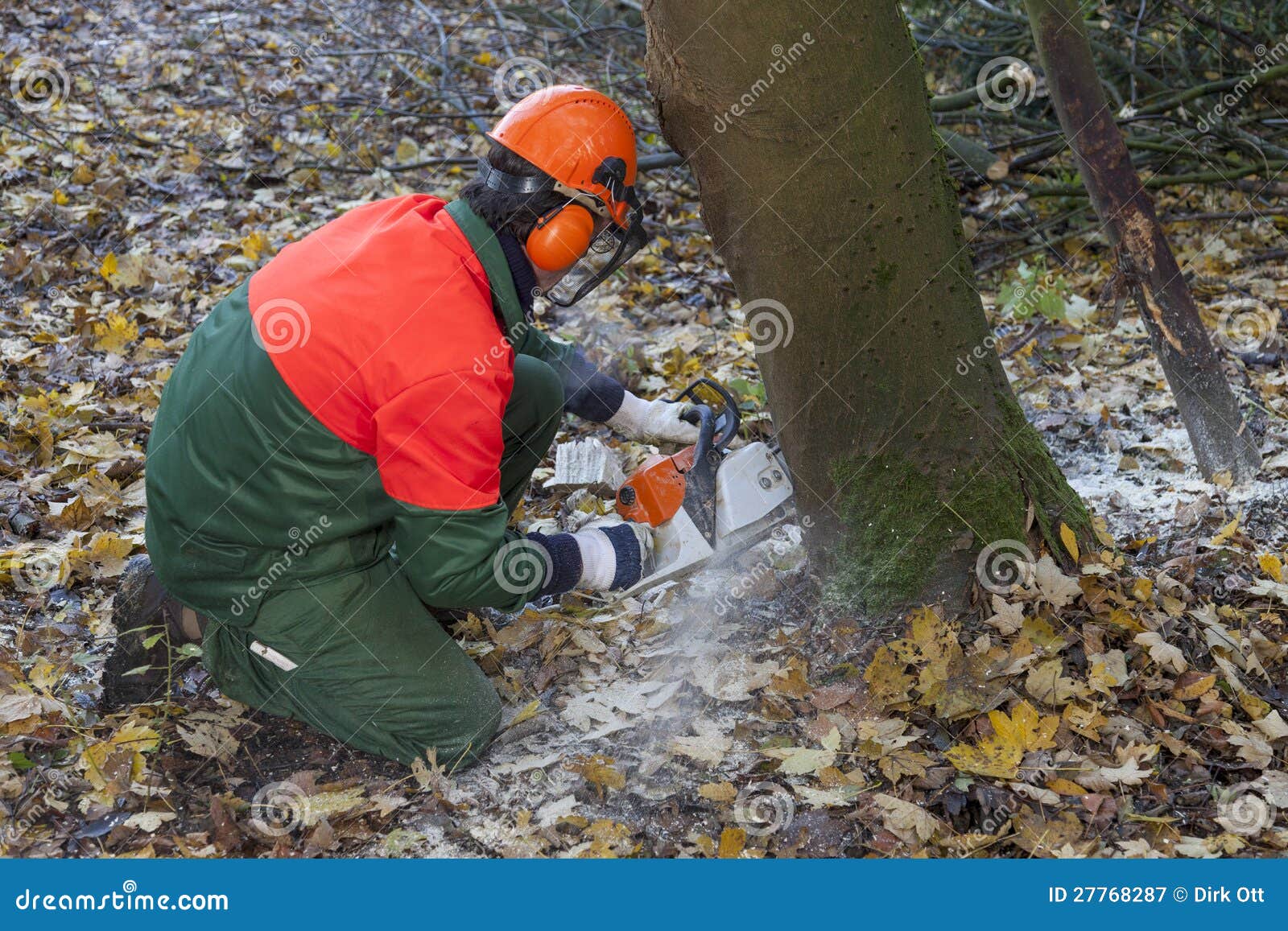 Lumberjack at work stock image. Image of danger, autumn - 27768287