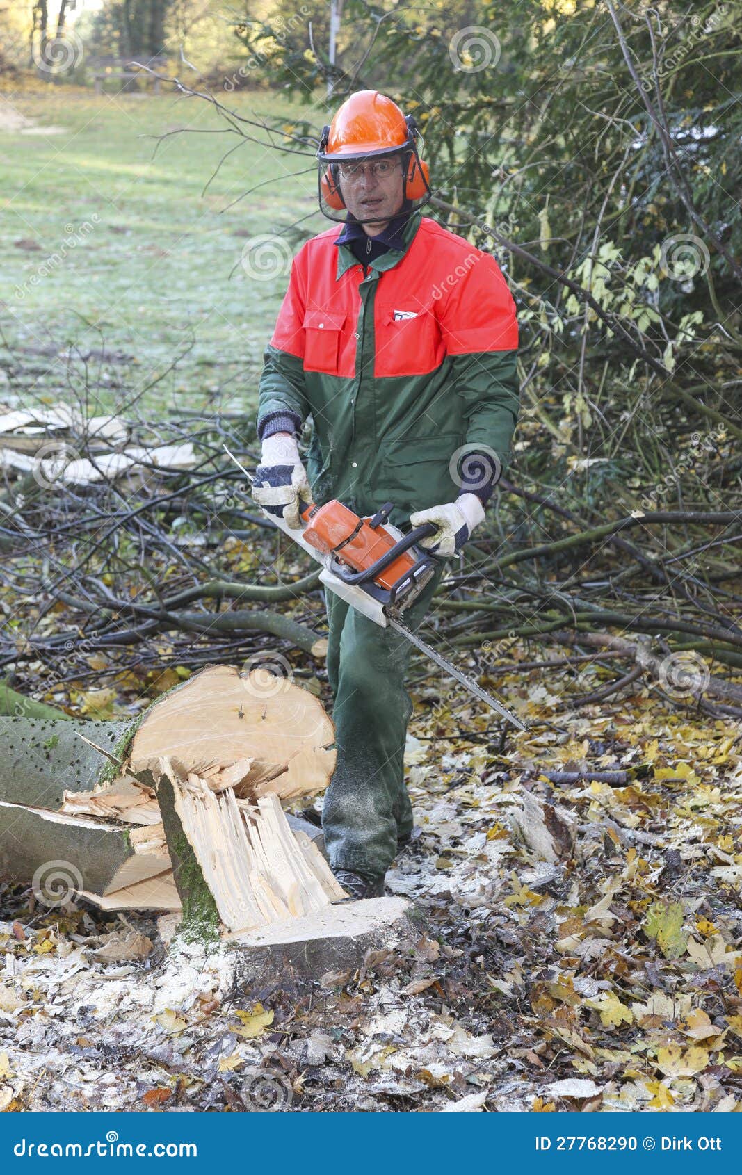 Lumberjack at work stock photo. Image of clothes, garden - 27768290