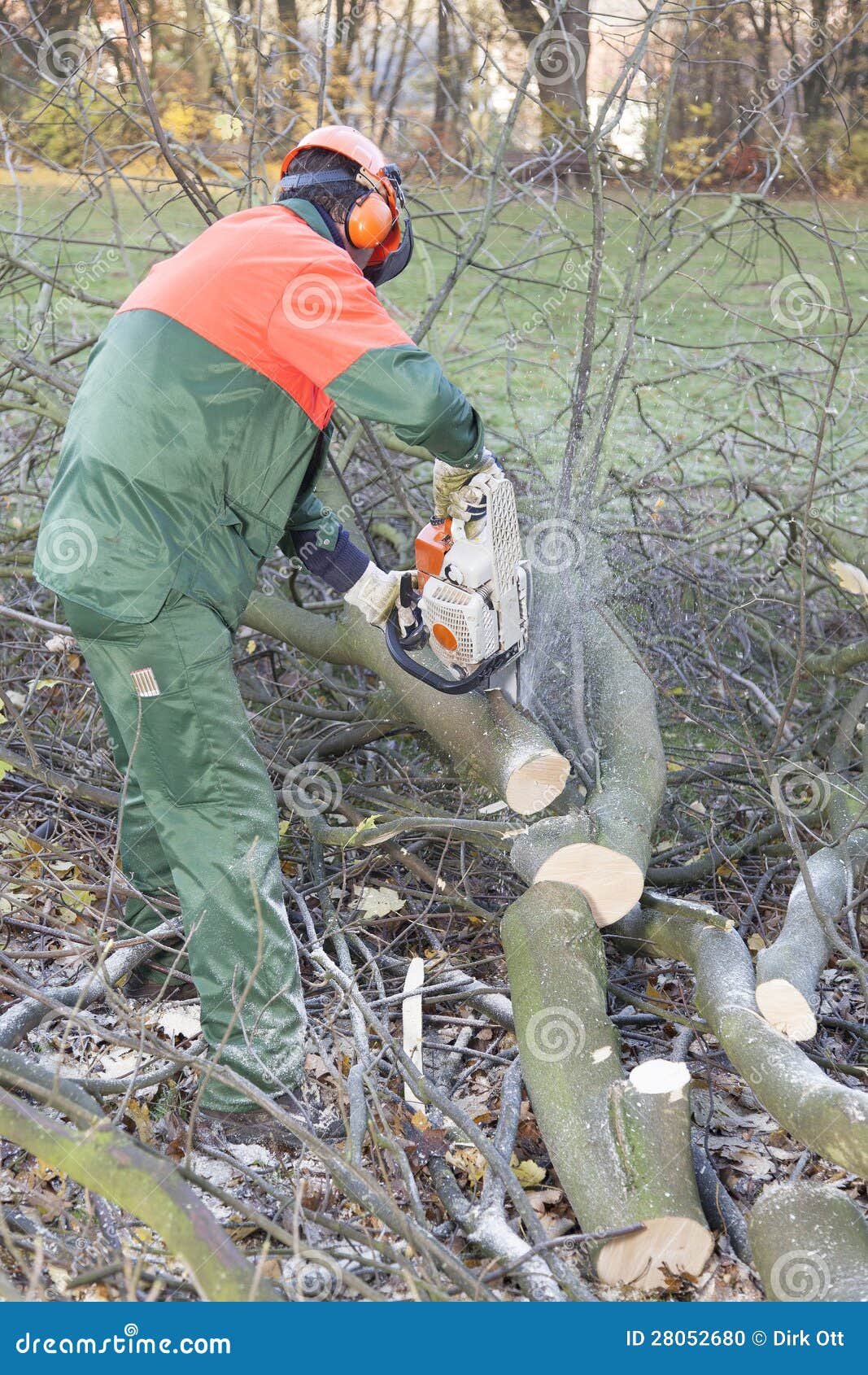 Lumberjack at work stock photo. Image of activities, adult - 28052680