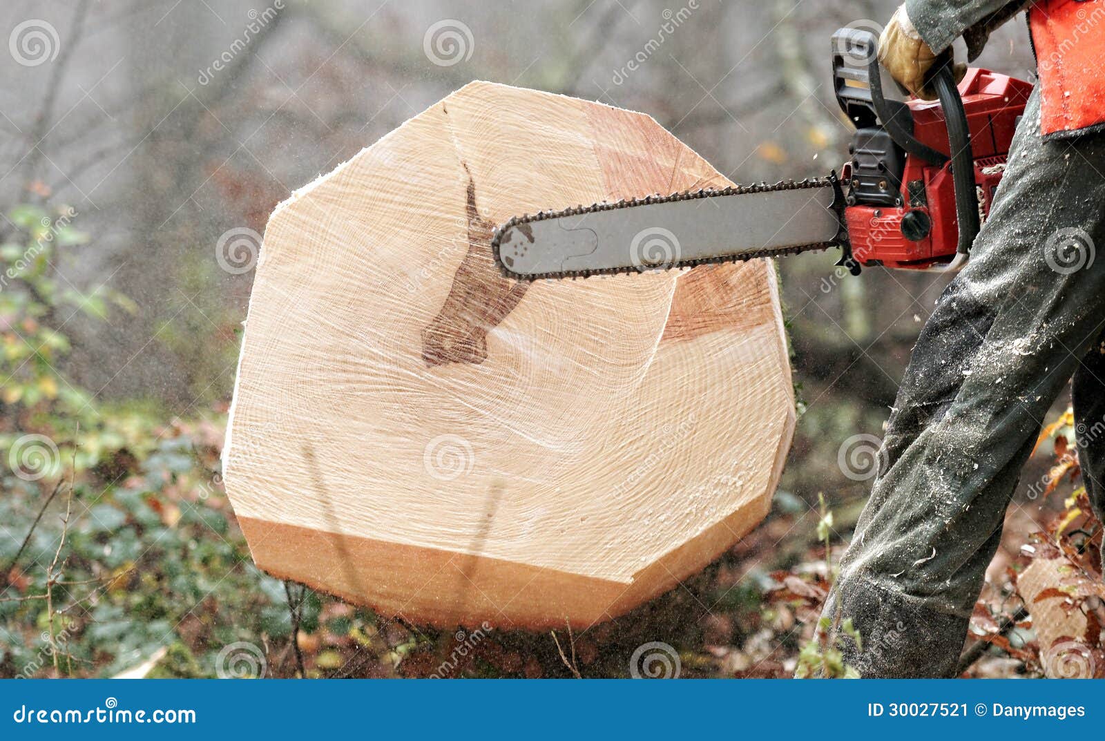 Lumberjack stock image. Image of sawing, machinery, lumber - 30027521