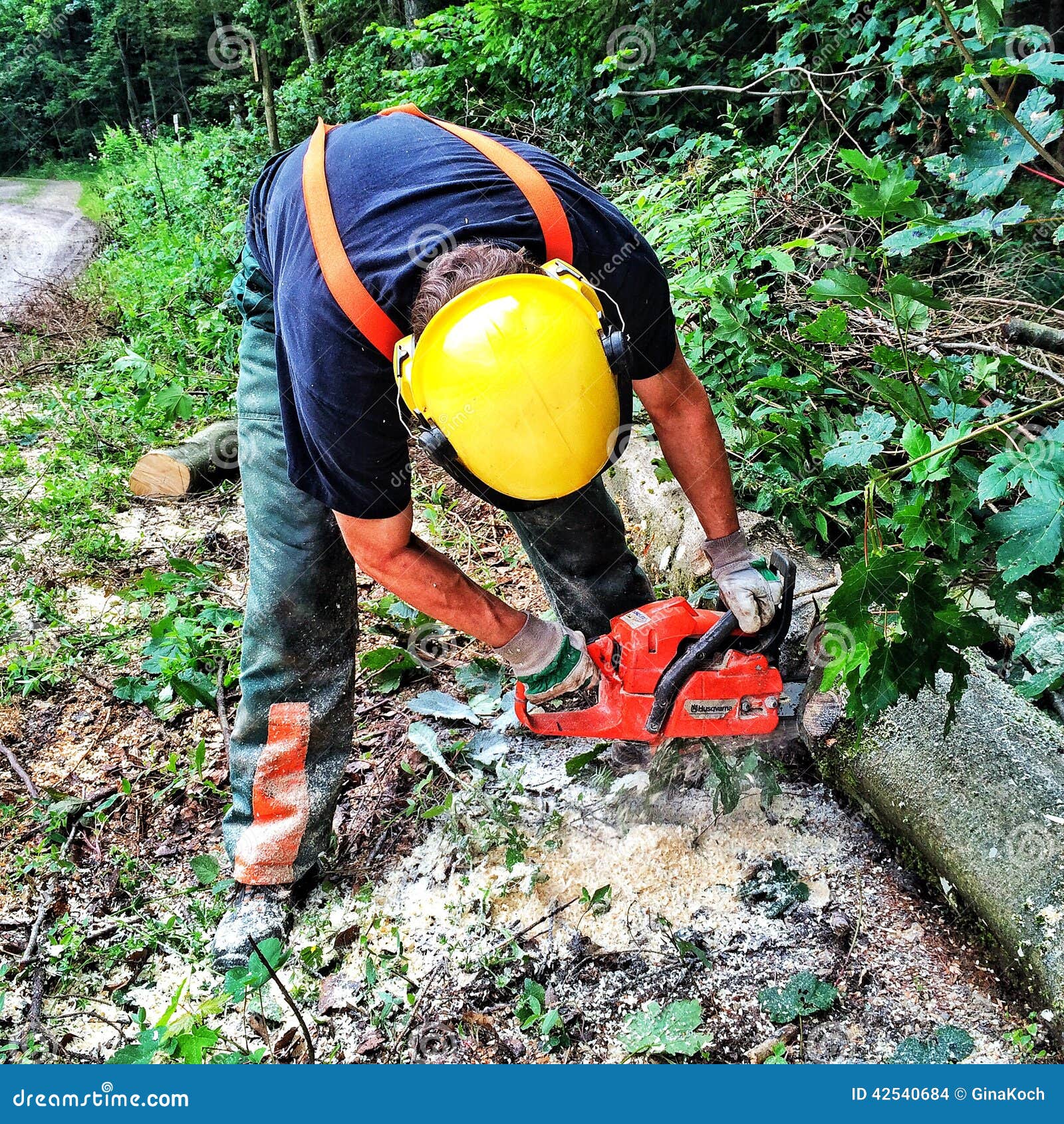 Lumberjack at work editorial stock image. Image of logs - 42540684