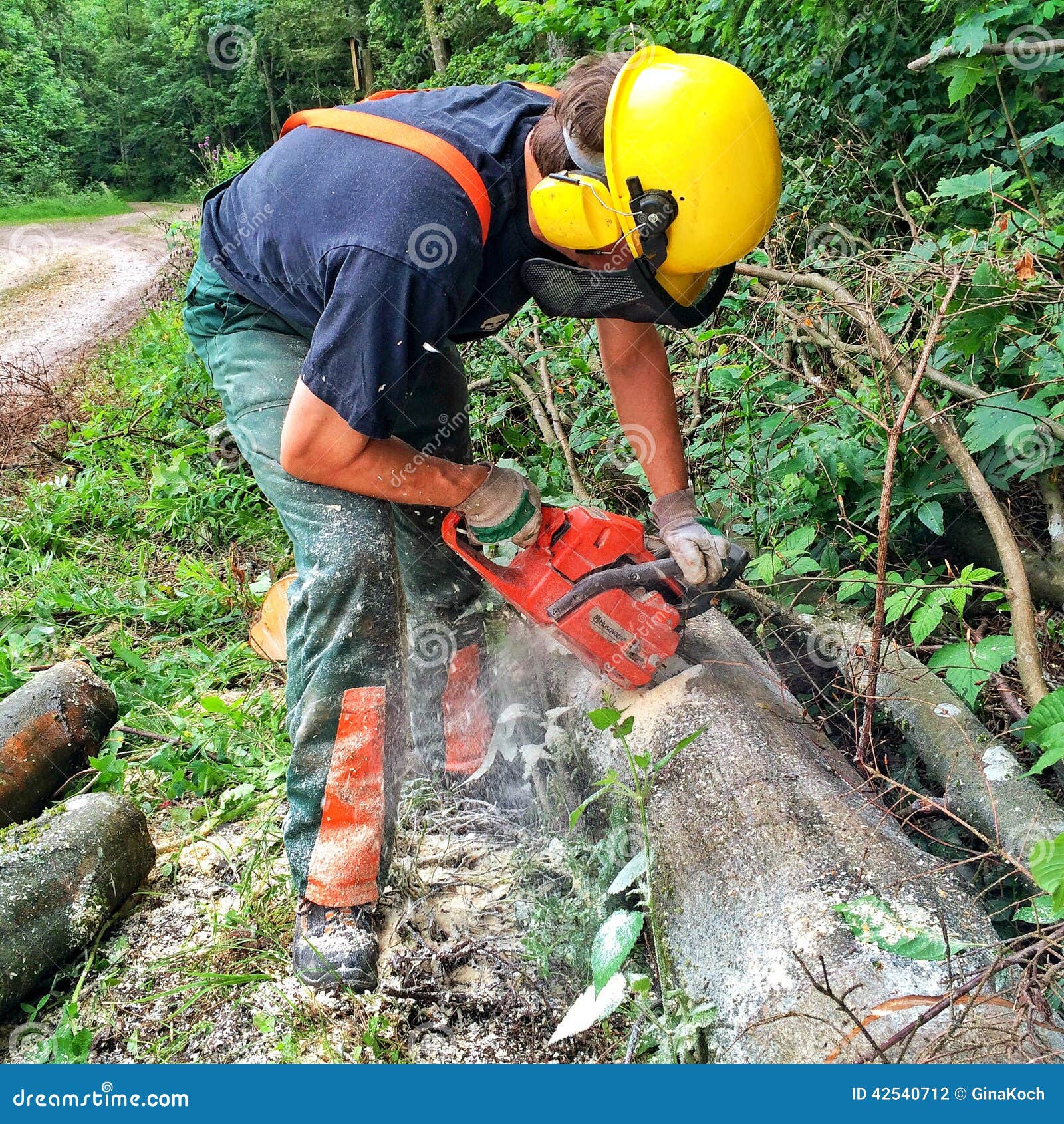 Lumberjack at work editorial photography. Image of yellow - 42540712