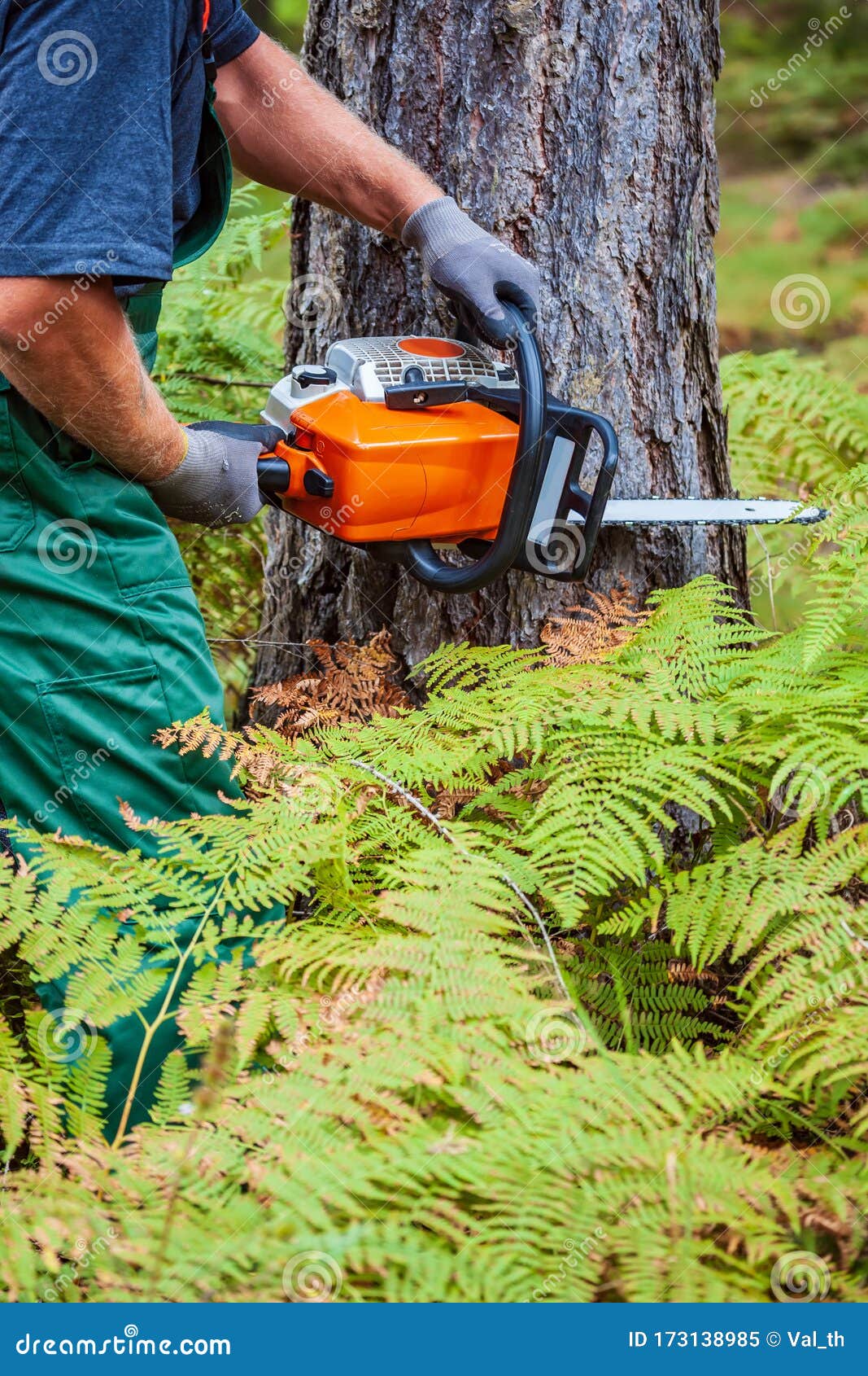 Lumberjack at work stock image. Image of lumber, adult - 173138985
