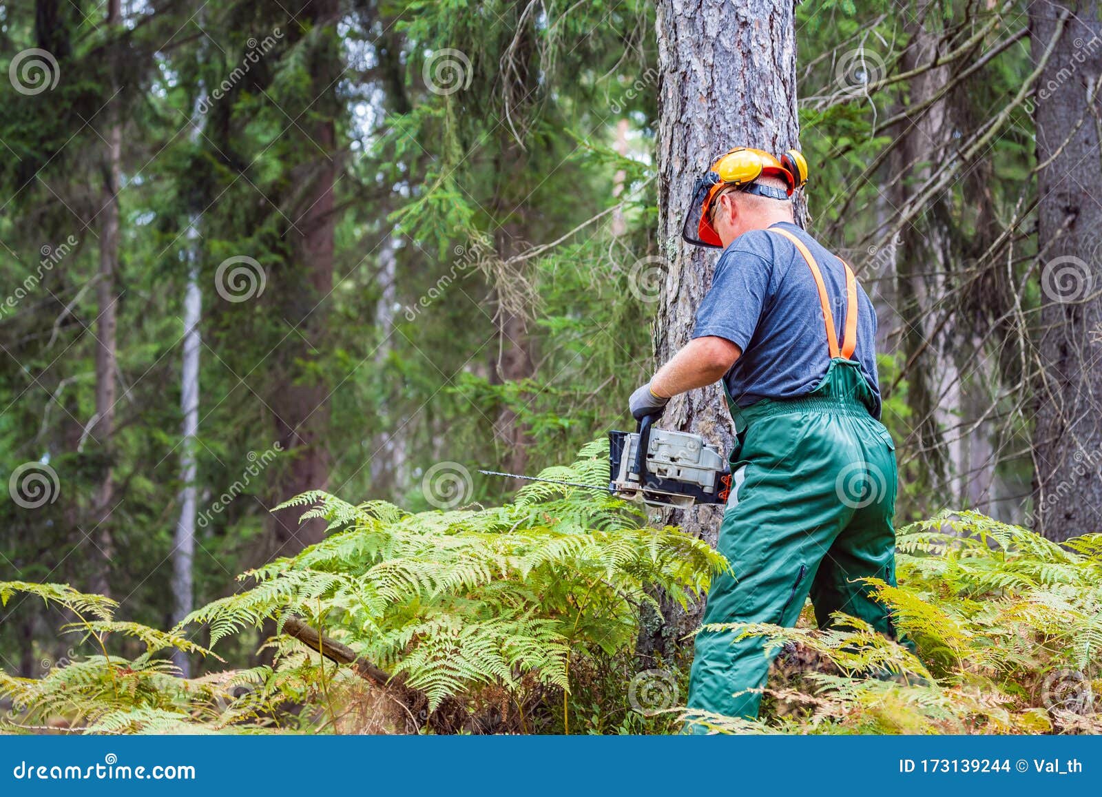 Lumberjack at work stock photo. Image of lumberjack - 173139244