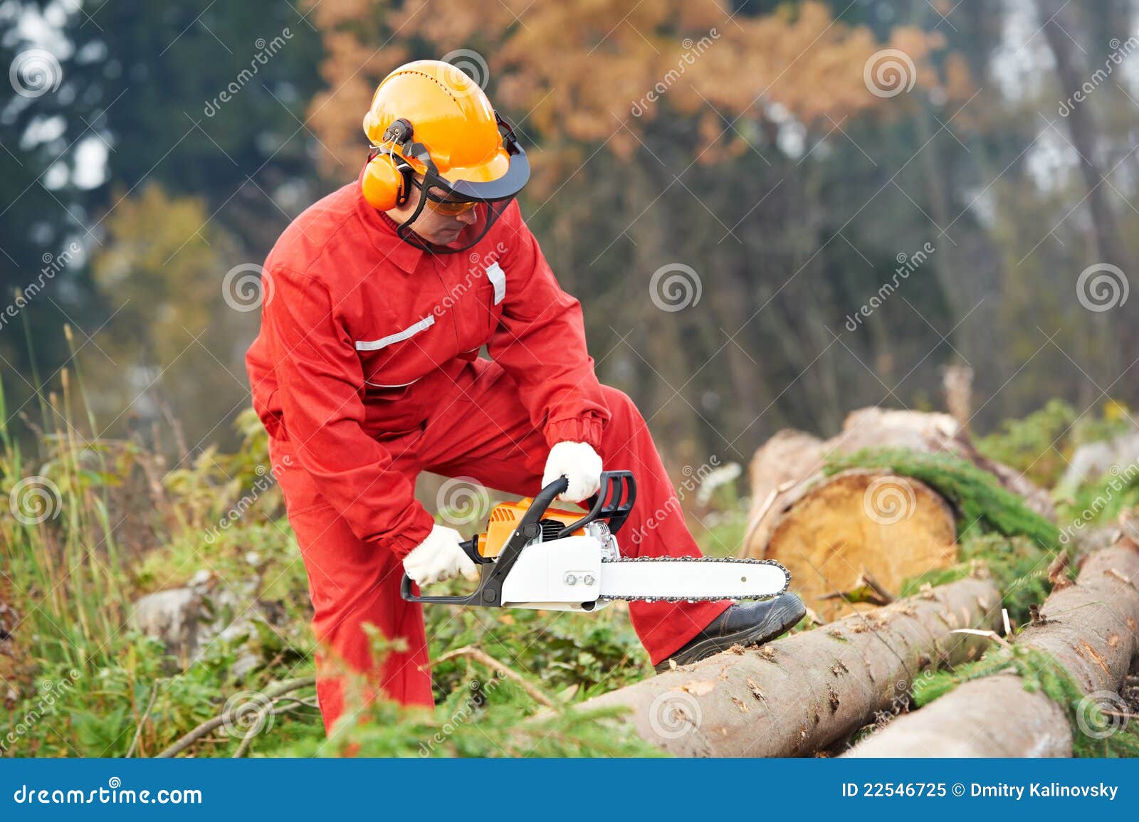 Lumberjack Worker with Chainsaw in the Forest Stock Image - Image of ...