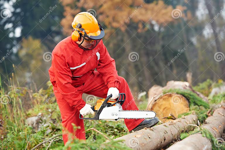 Lumberjack Worker with Chainsaw in the Forest Stock Image - Image of ...