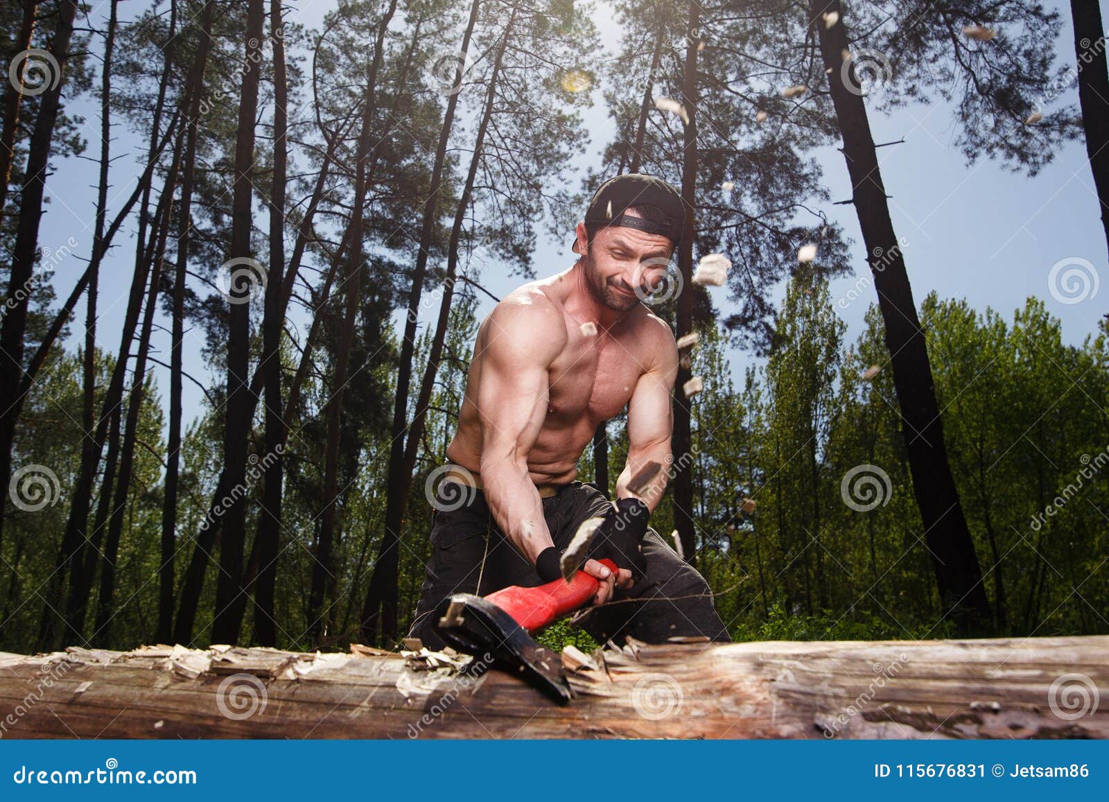 Lumberjack Worker Chopping Down a Tree Breaking Off Many Splinte Stock ...
