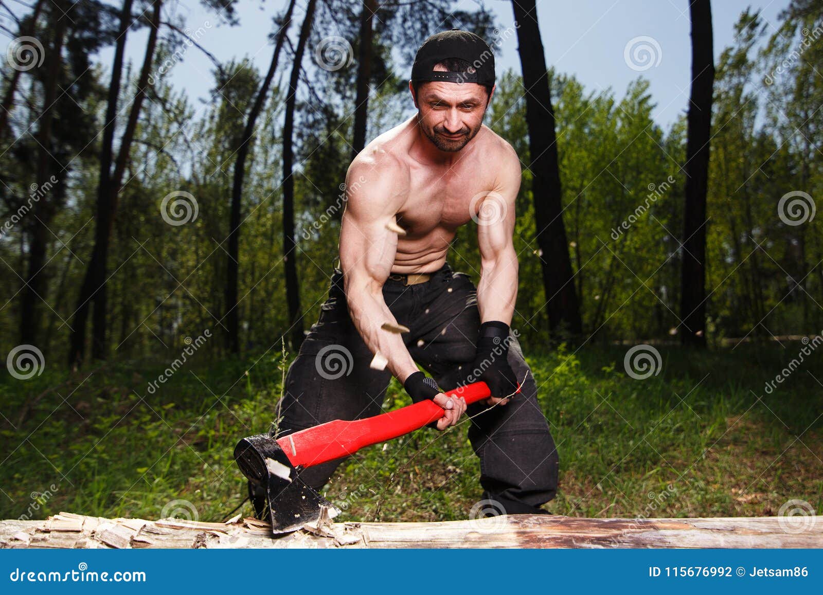 Lumberjack Worker Chopping Down a Tree Breaking Off Many Splinte Stock ...