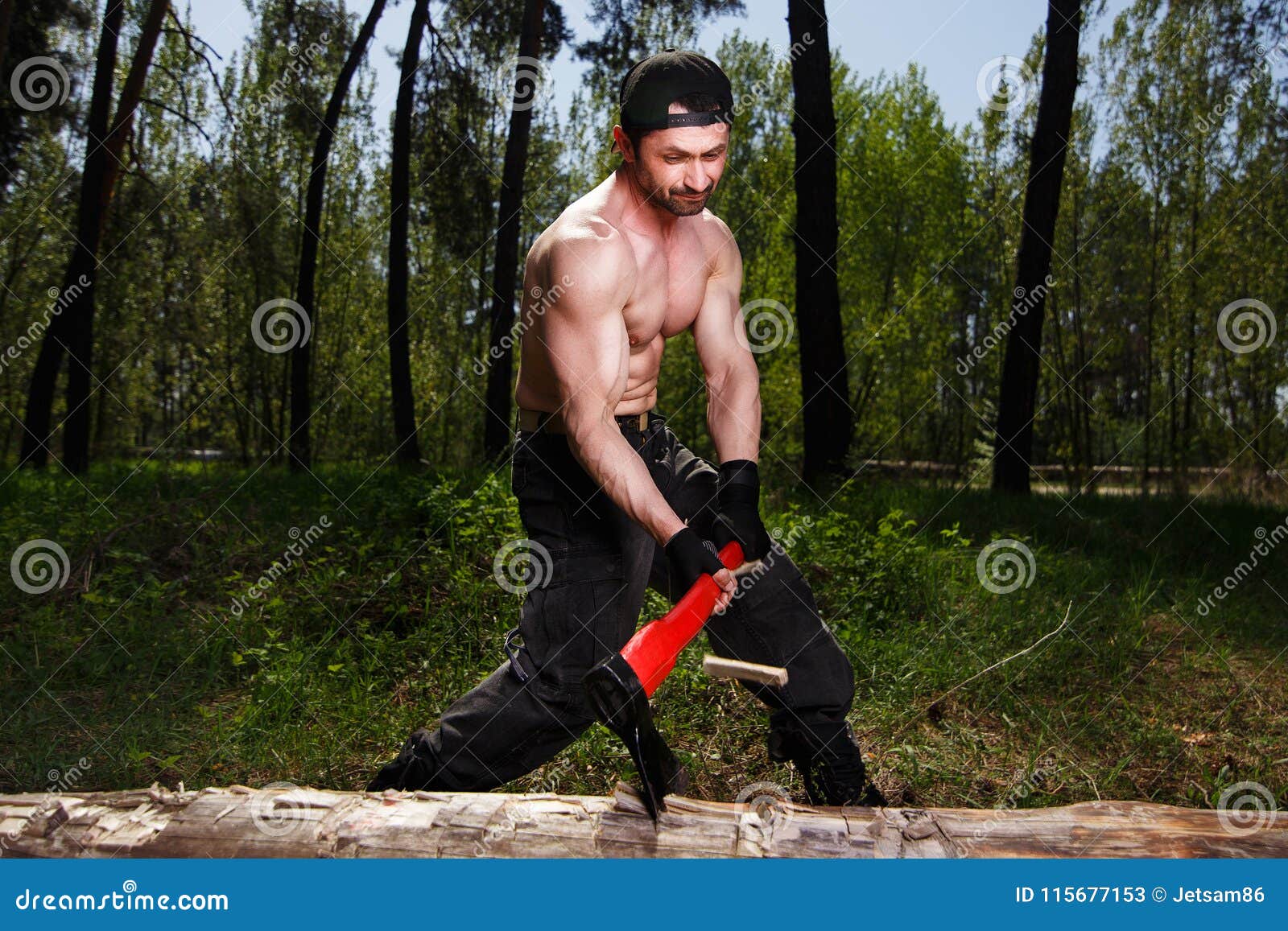 Lumberjack Worker Chopping Down a Tree Breaking Off Many Splinte Stock ...