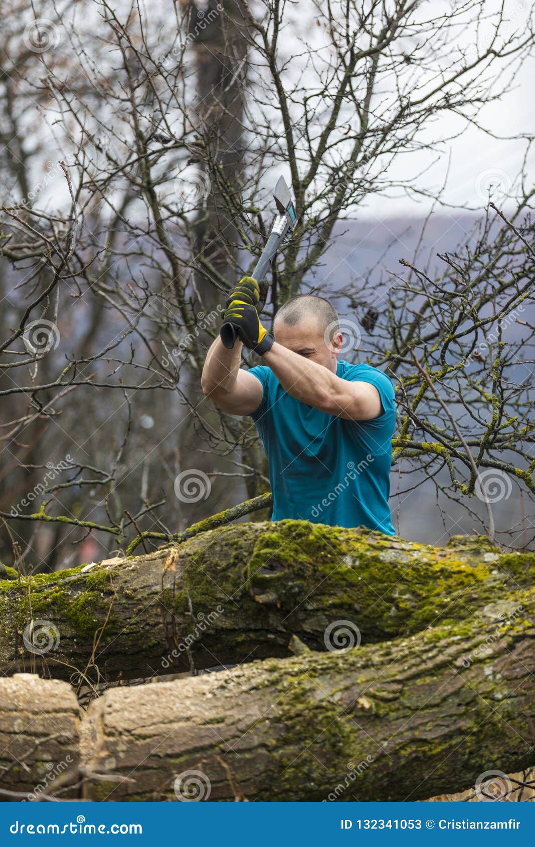 Lumberjack Worker Chopping Down a Tree Breaking Off Many Splinters in ...