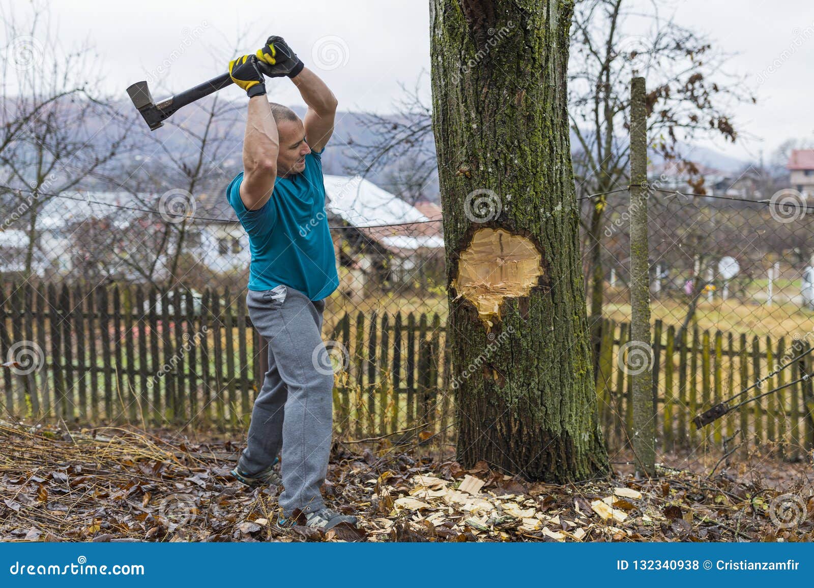Lumberjack Worker Chopping Down a Tree Breaking Off Many Splinters in ...