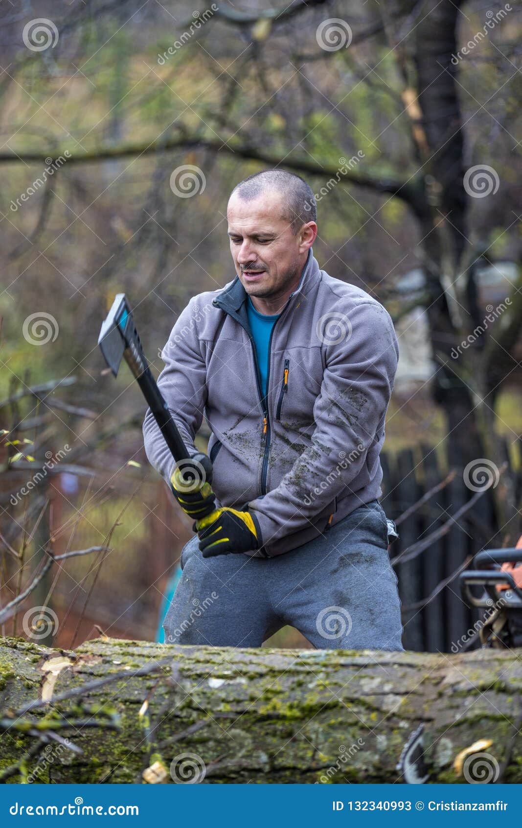 Lumberjack Worker Chopping Down a Tree Breaking Off Many Splinters in ...