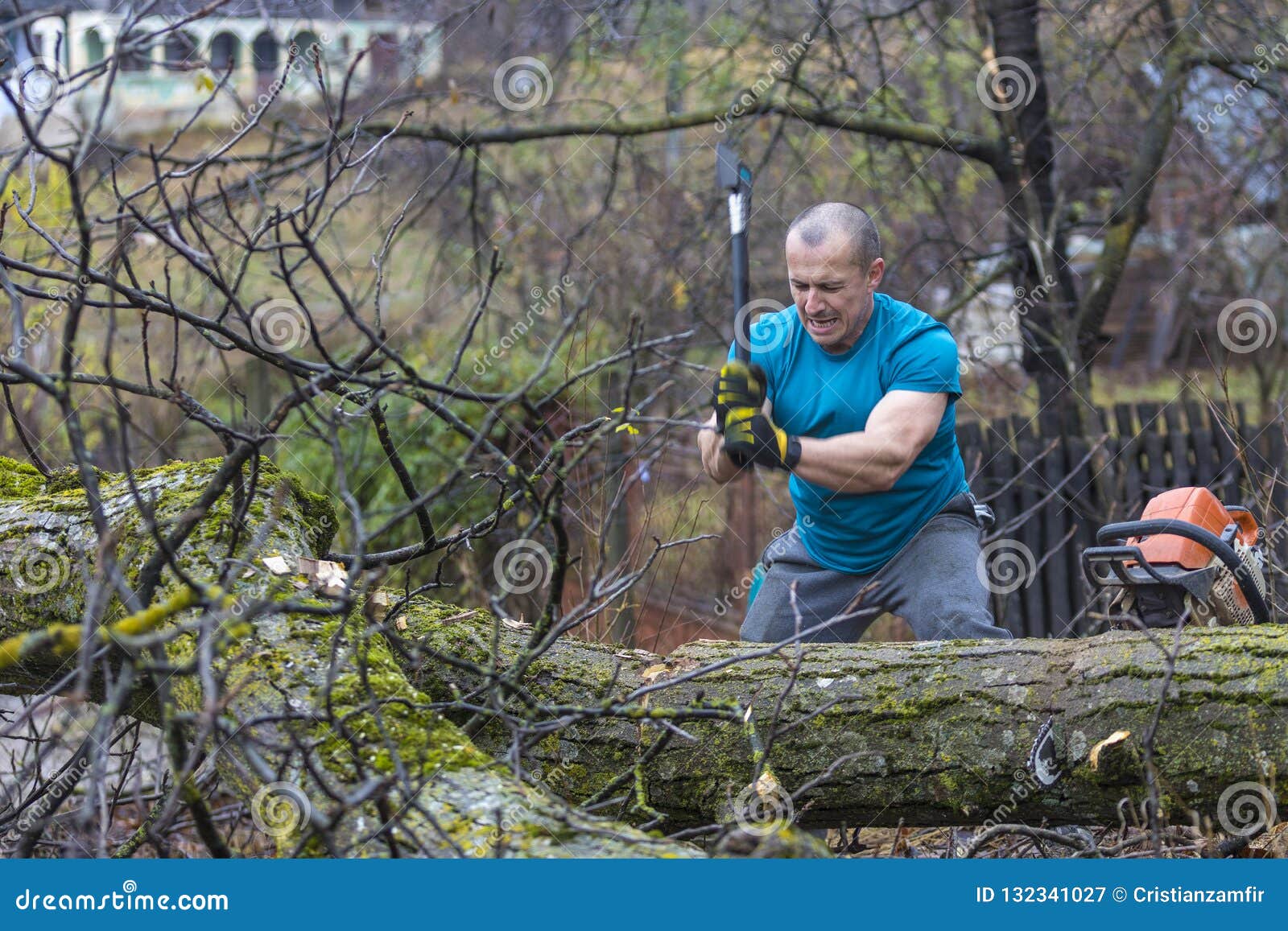 Lumberjack Worker Chopping Down a Tree Breaking Off Many Splinters in ...