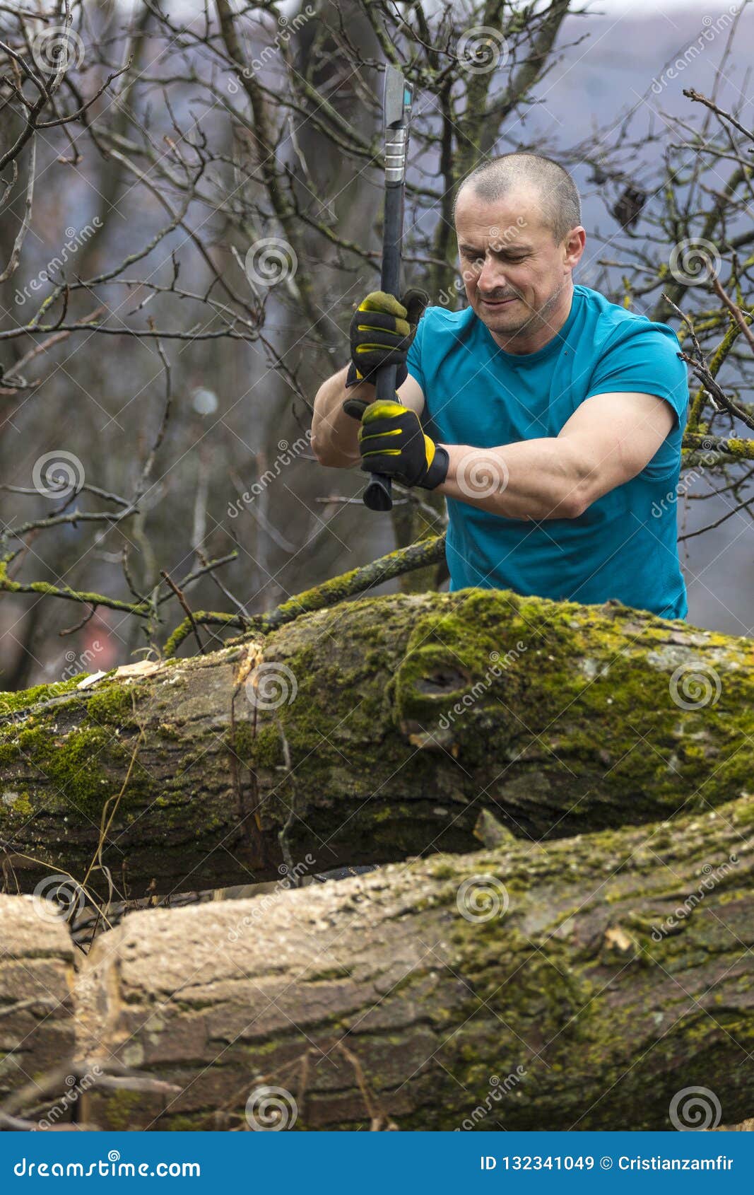 Lumberjack Worker Chopping Down a Tree Breaking Off Many Splinters in ...