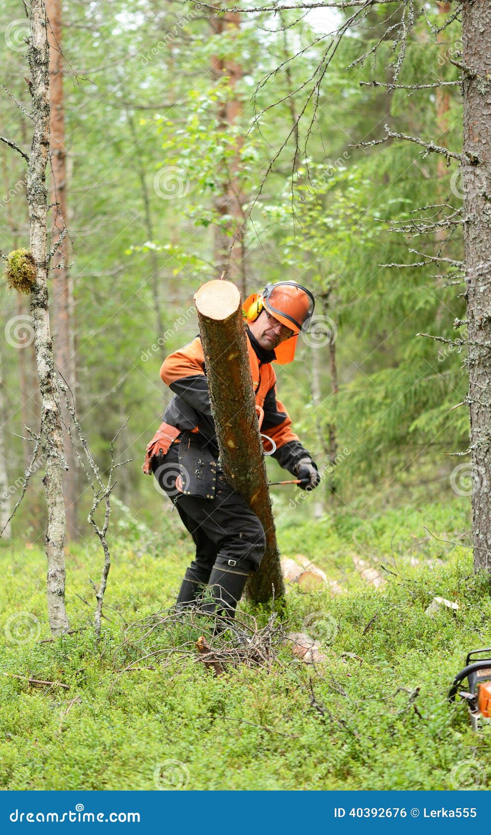 Lumberjack Worker in Forest Stock Photo - Image of forest, finland ...